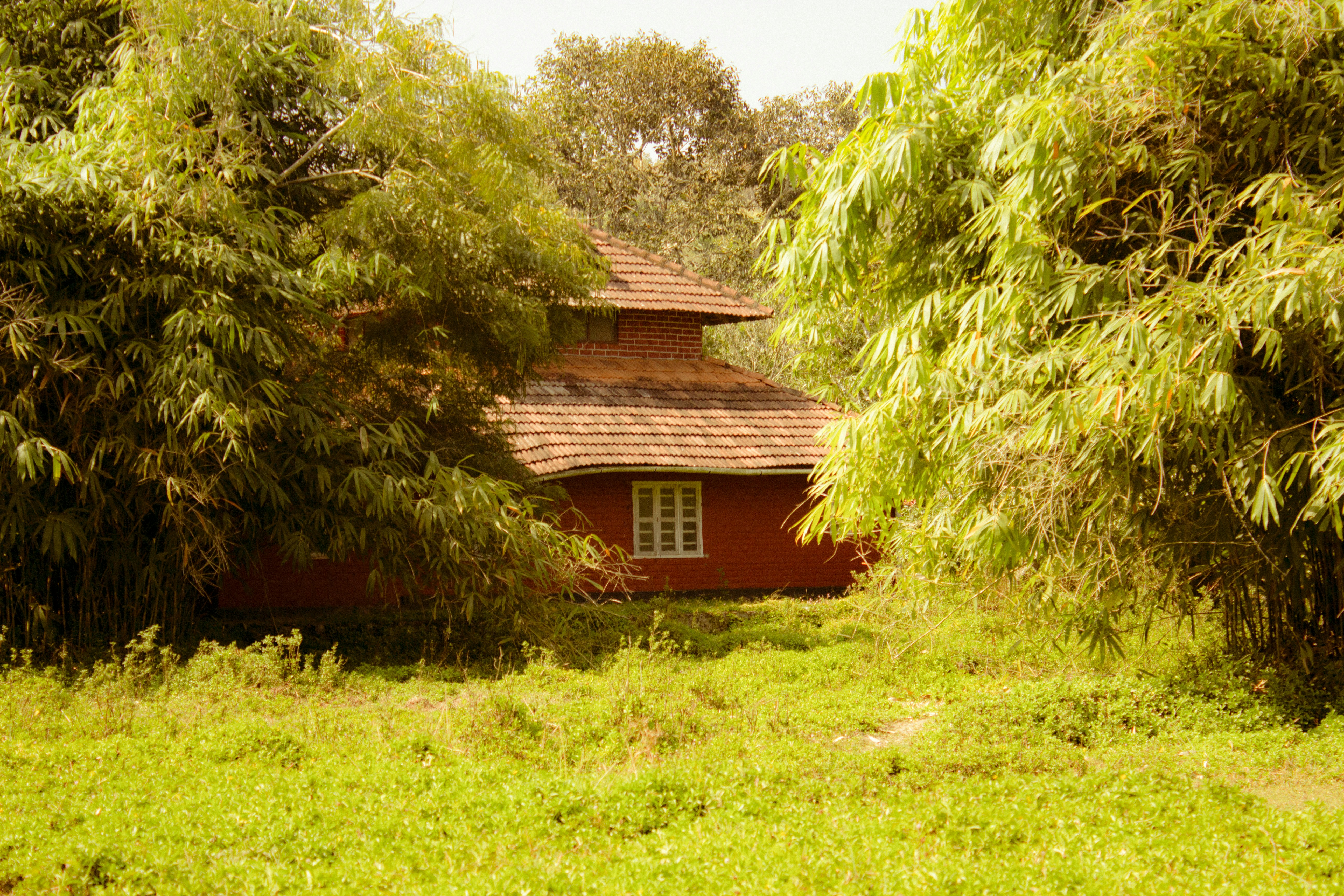 A small red house surrounded by trees and grass photo – Free Nadavayal ...