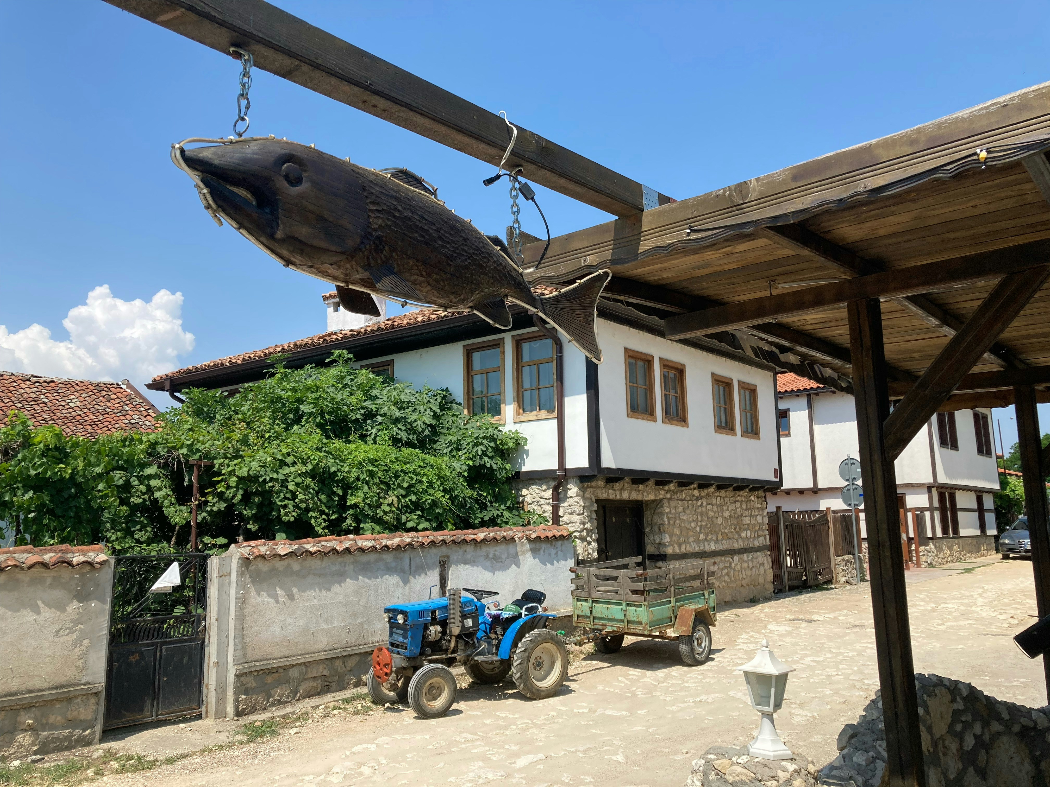 Suspended Iron Whale Over a Quiet Village Yard