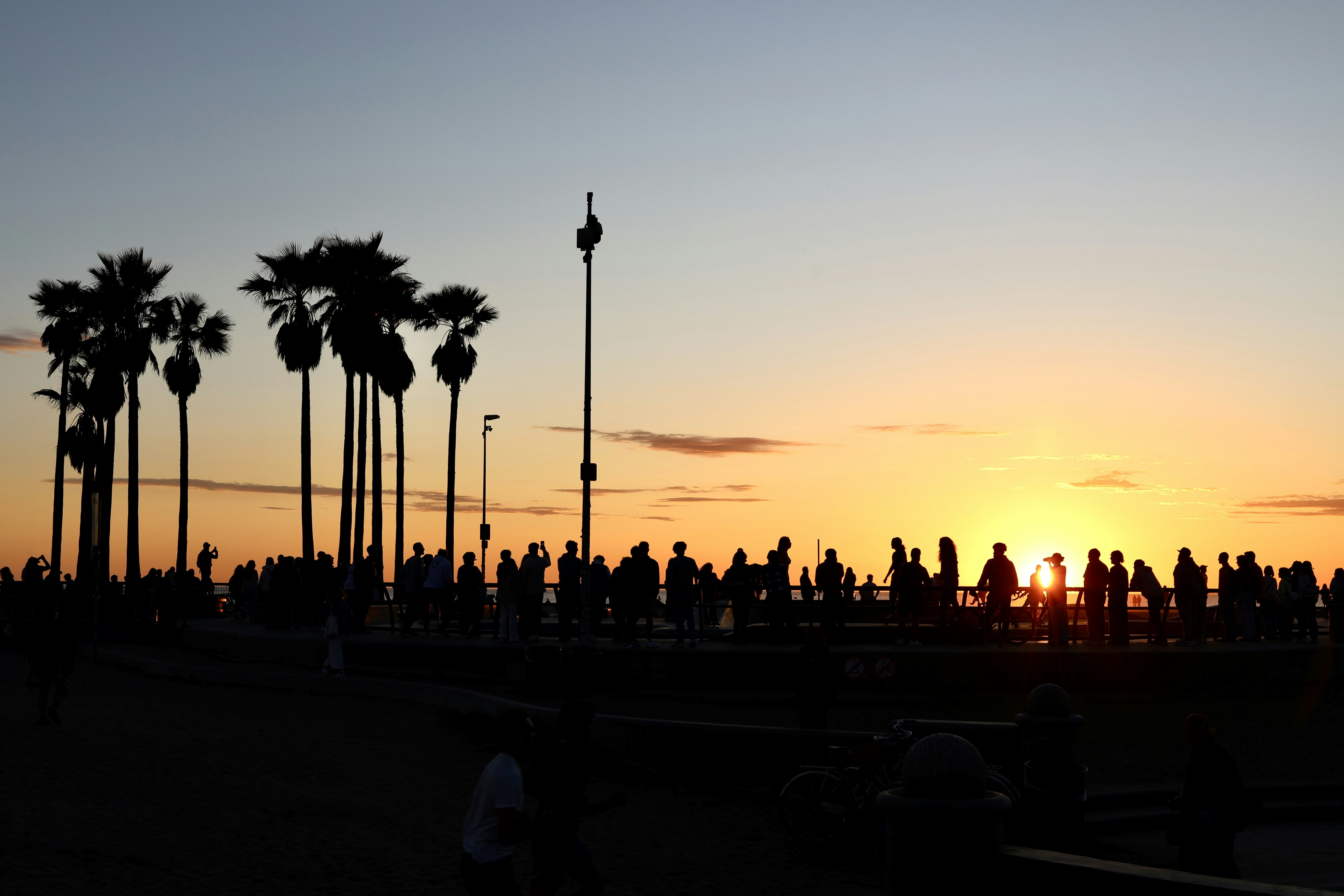 Sunset Silhouettes Along Palm-Lined Promenade