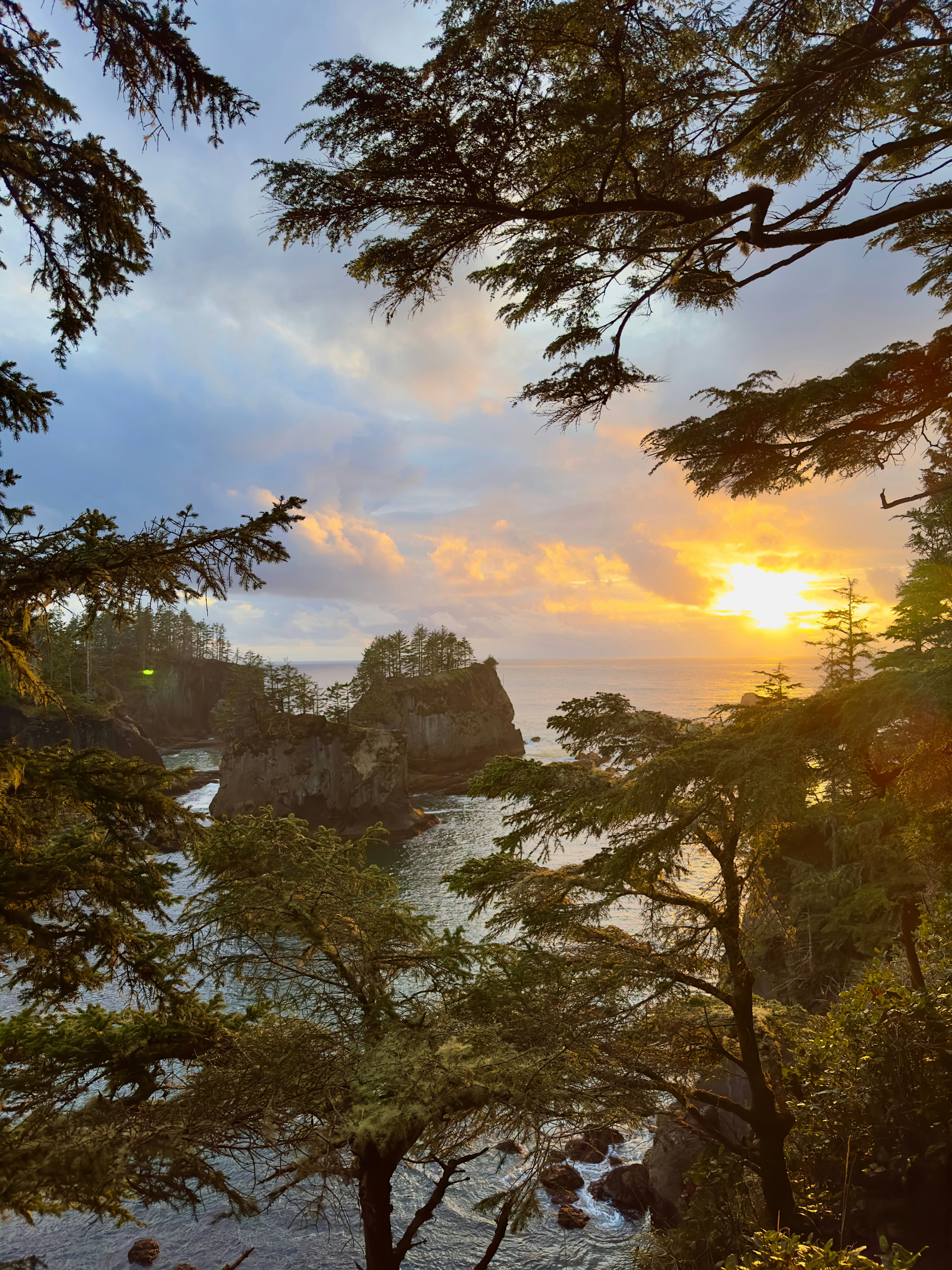 Ilya Shugaev (@mjakl2001) | Comunidade de fotos da Unsplash