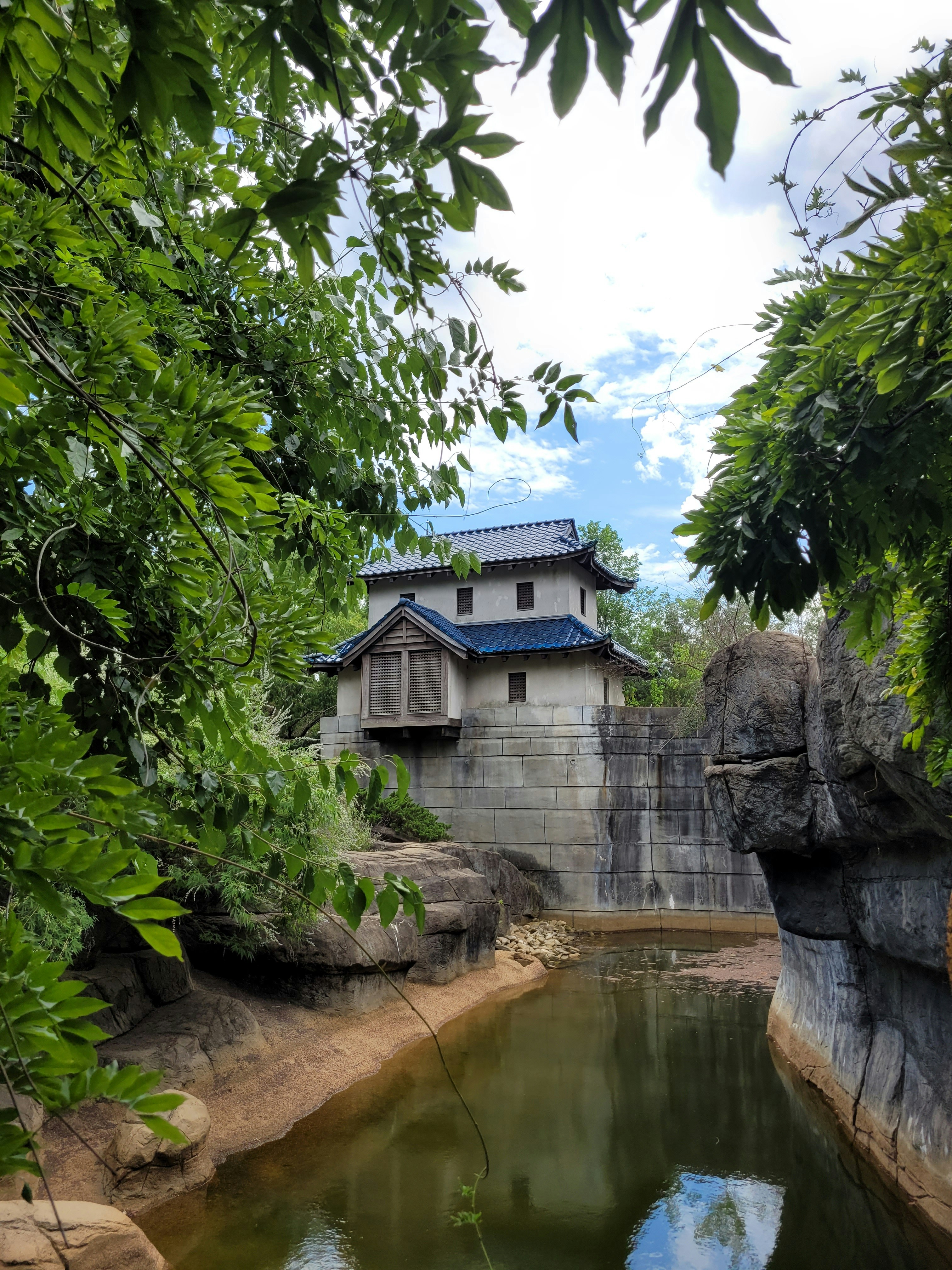 Verdant Riverside Refuge: A Timeless House Framed by Leaf and Rock