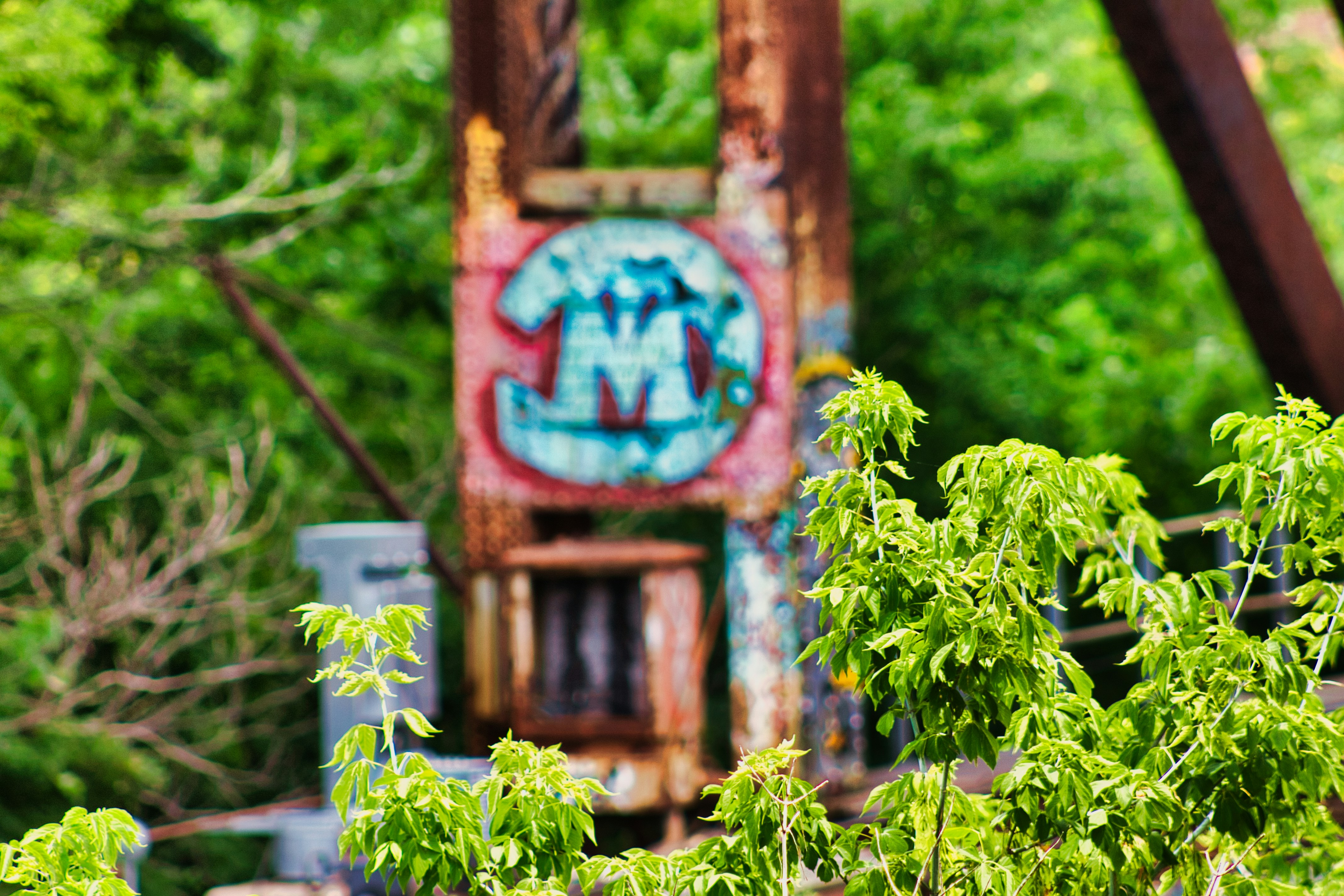 Neon M Graffiti on a Weathered Frame, Framed by Spring Greenery