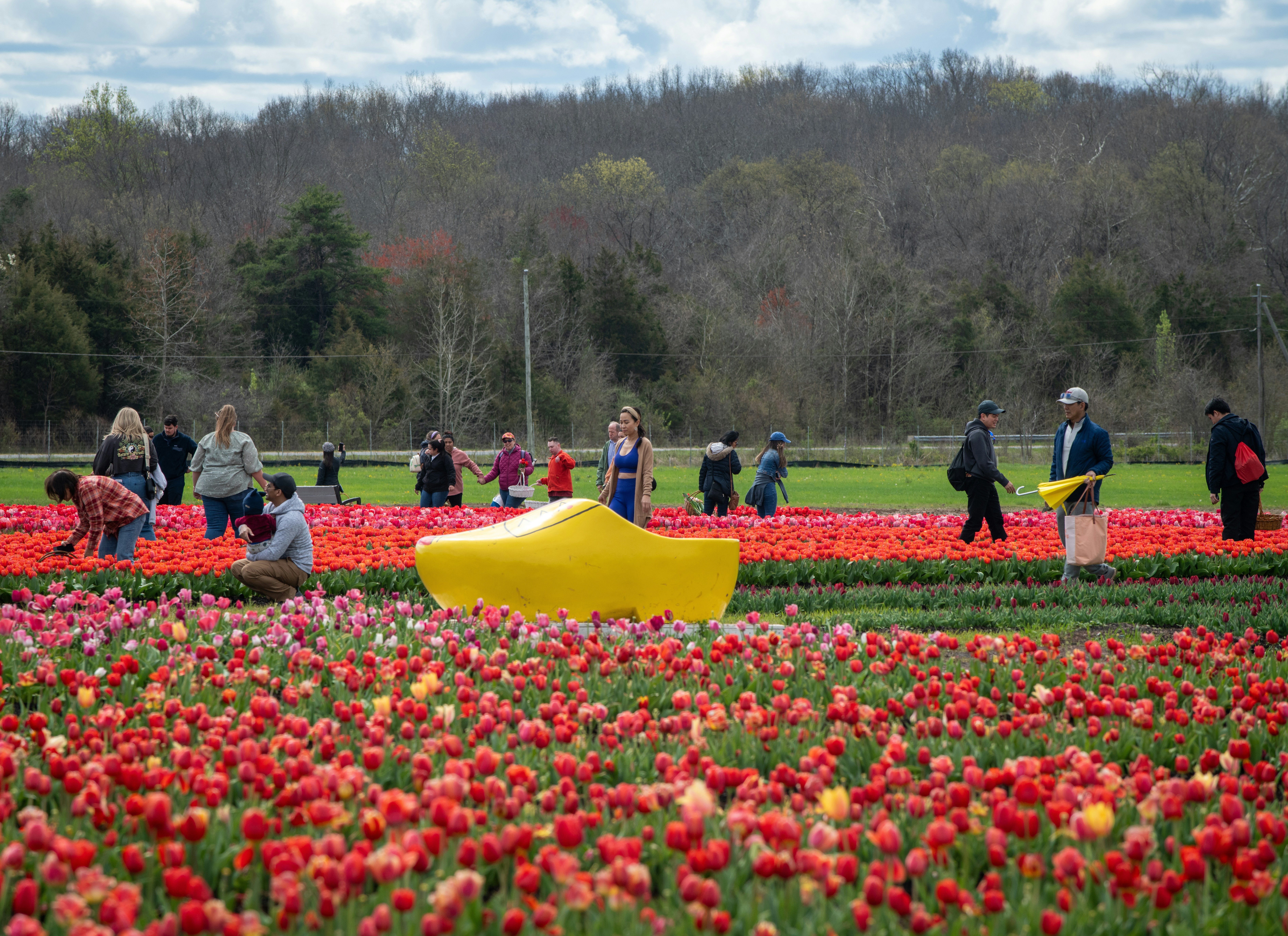 Yellow Boat Sculpture Carries Through a Sea of Tulips at Dusk Garden