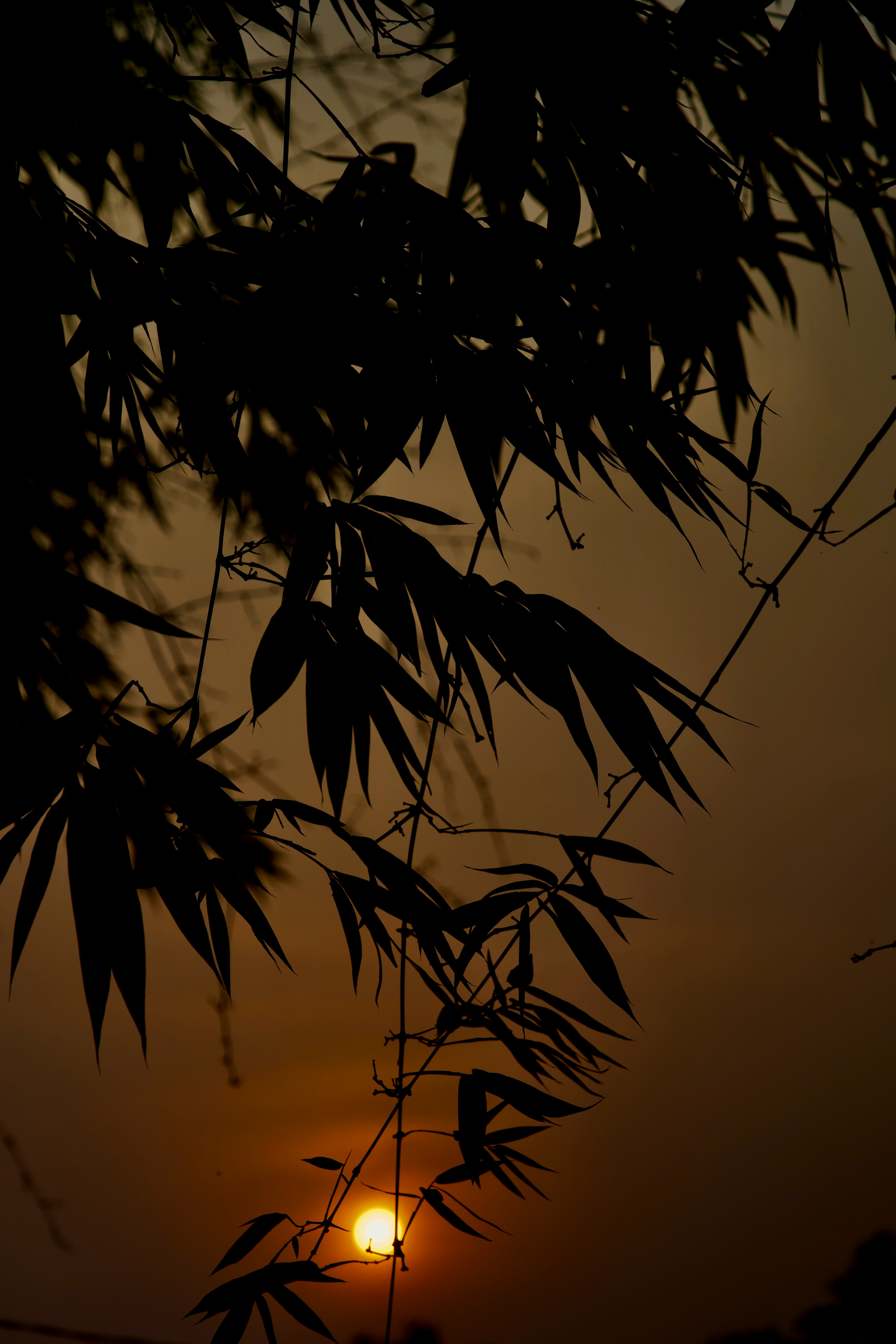 Photo by Ragib Huda with Sony Alpha 7C