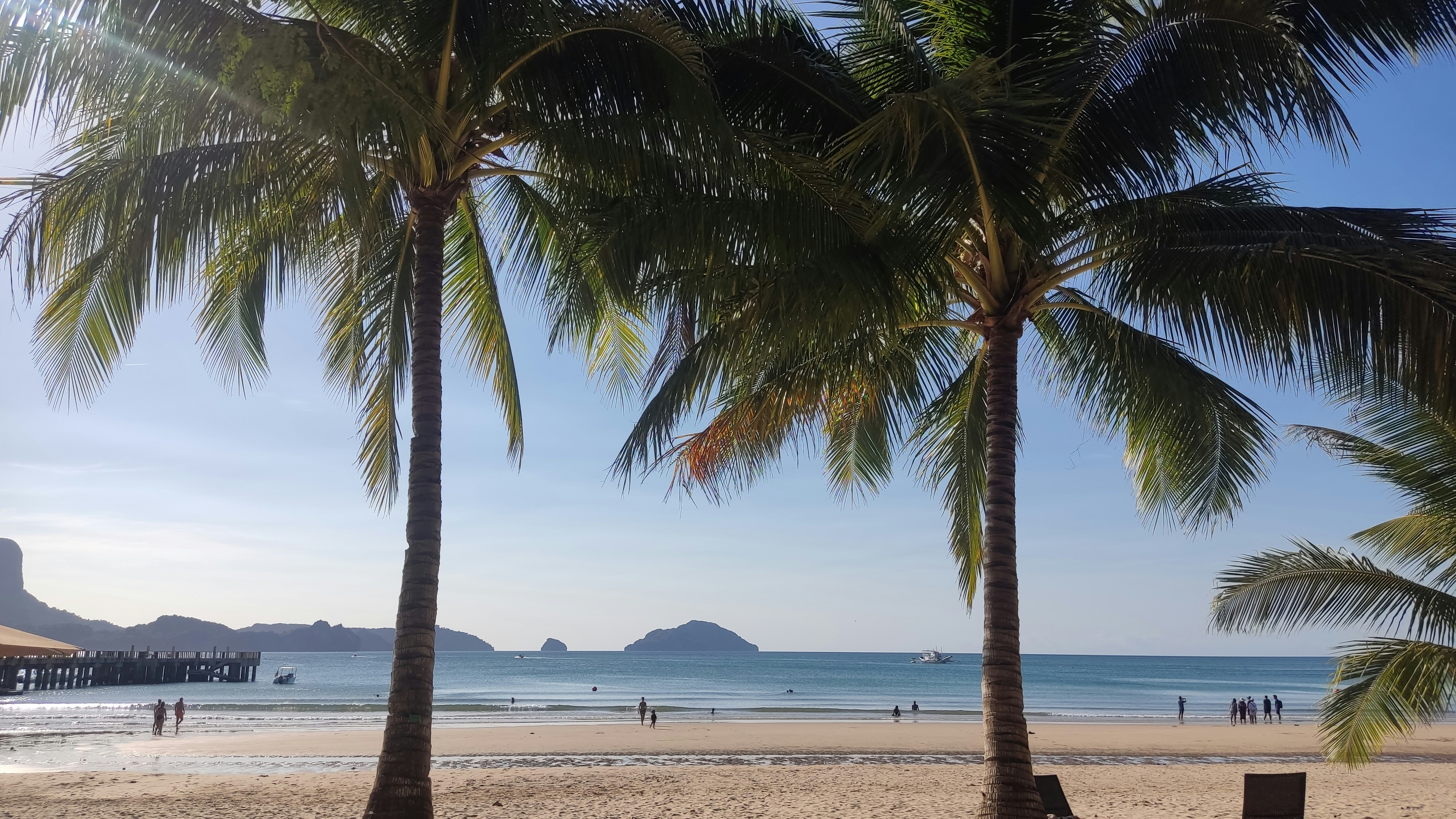 A beach with palm trees and a pier in the background photo – Free Beach ...