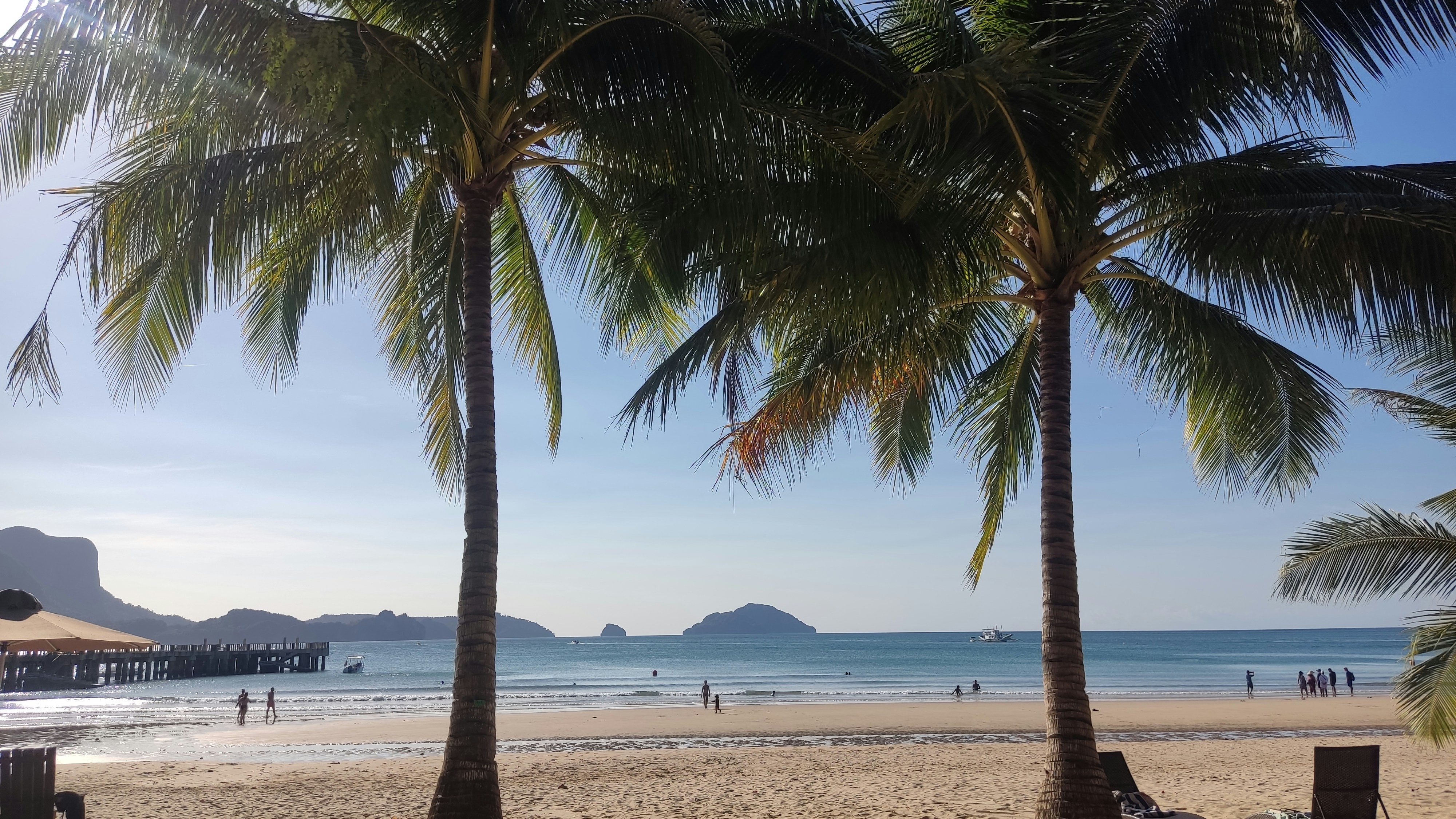 A beach with palm trees and a pier in the background photo – Free Sky ...