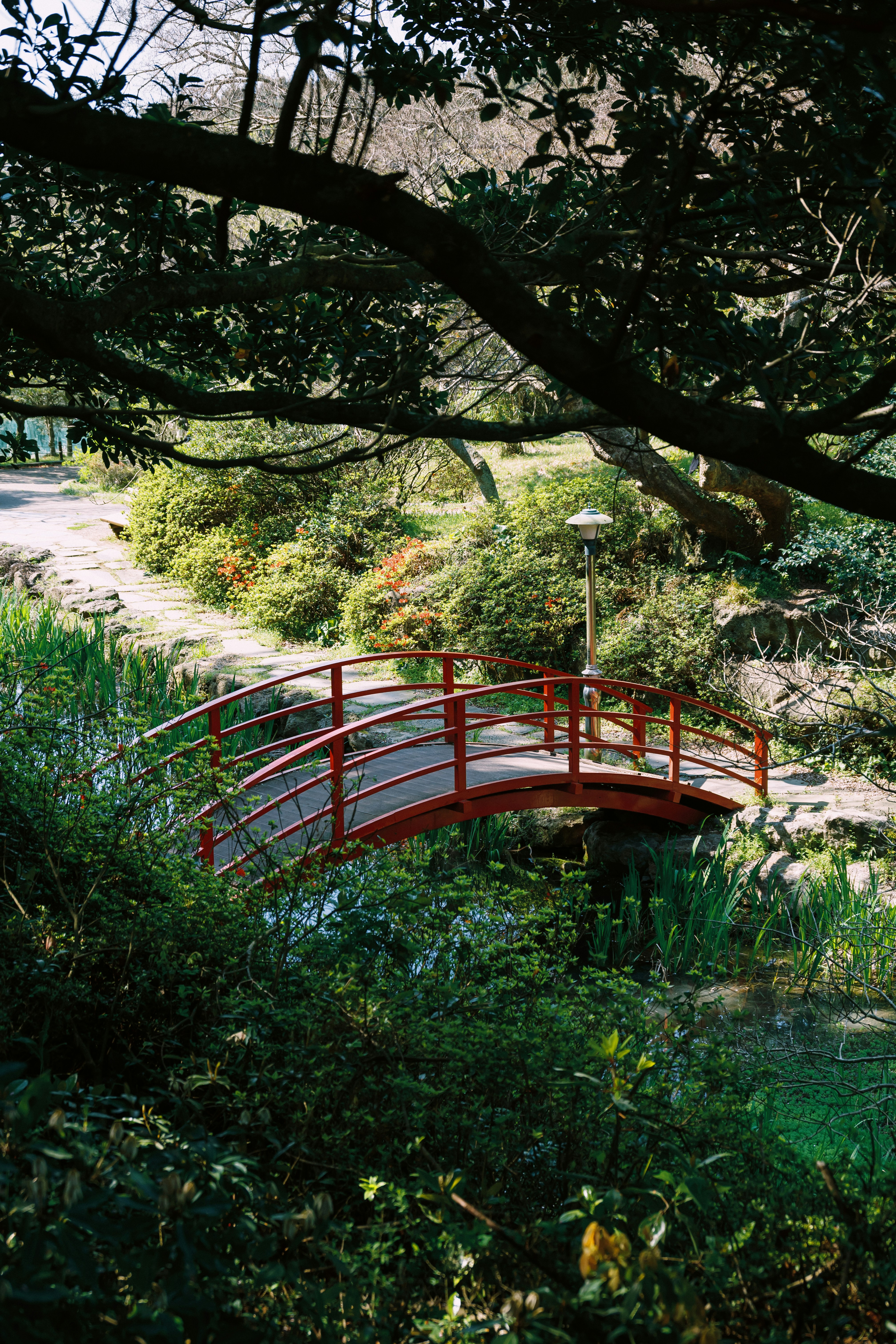 Crimson Arch Overquiet Waters