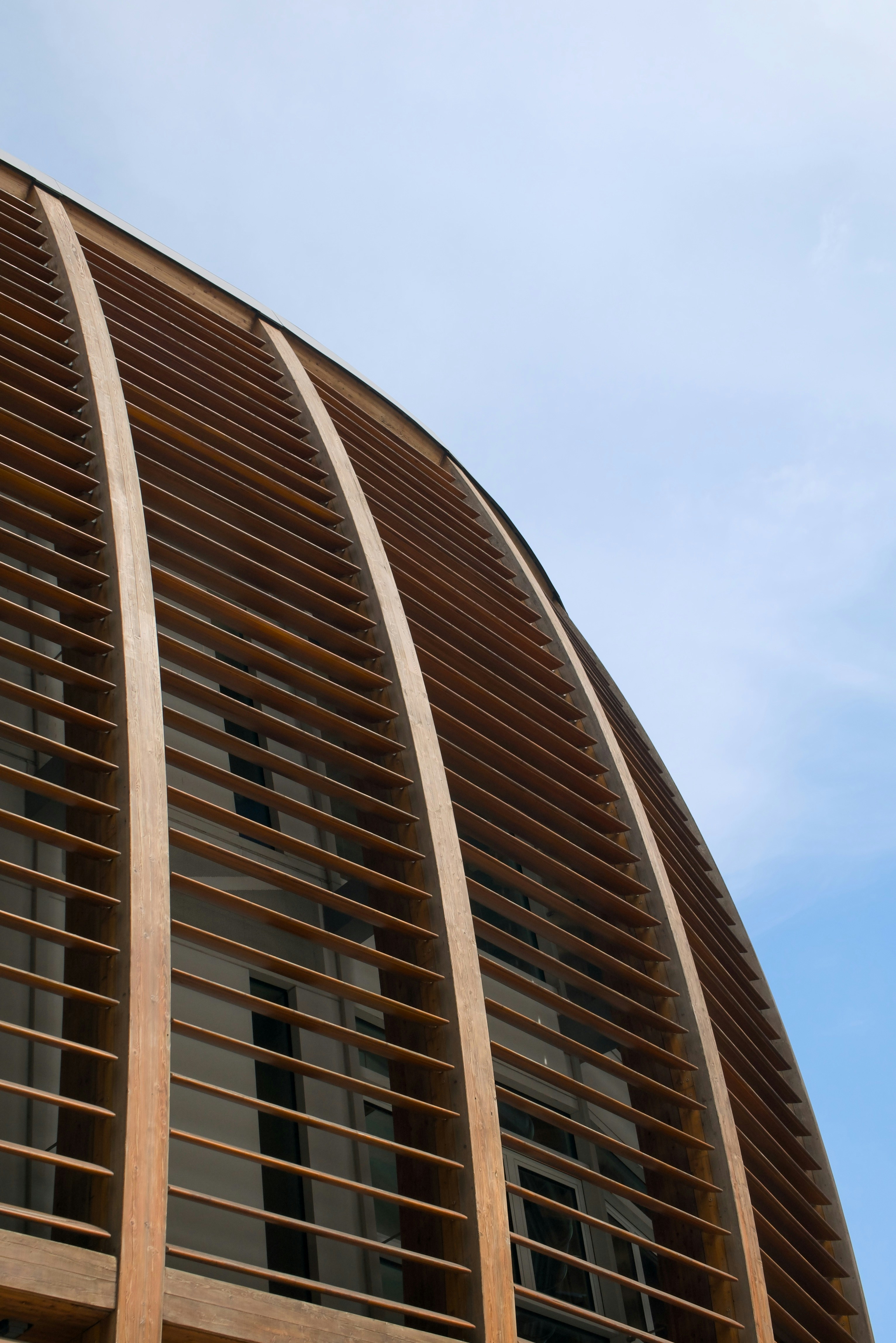 Arched Cedar Lattice: Timber Ribs Curving Toward a Quiet Blue Sky