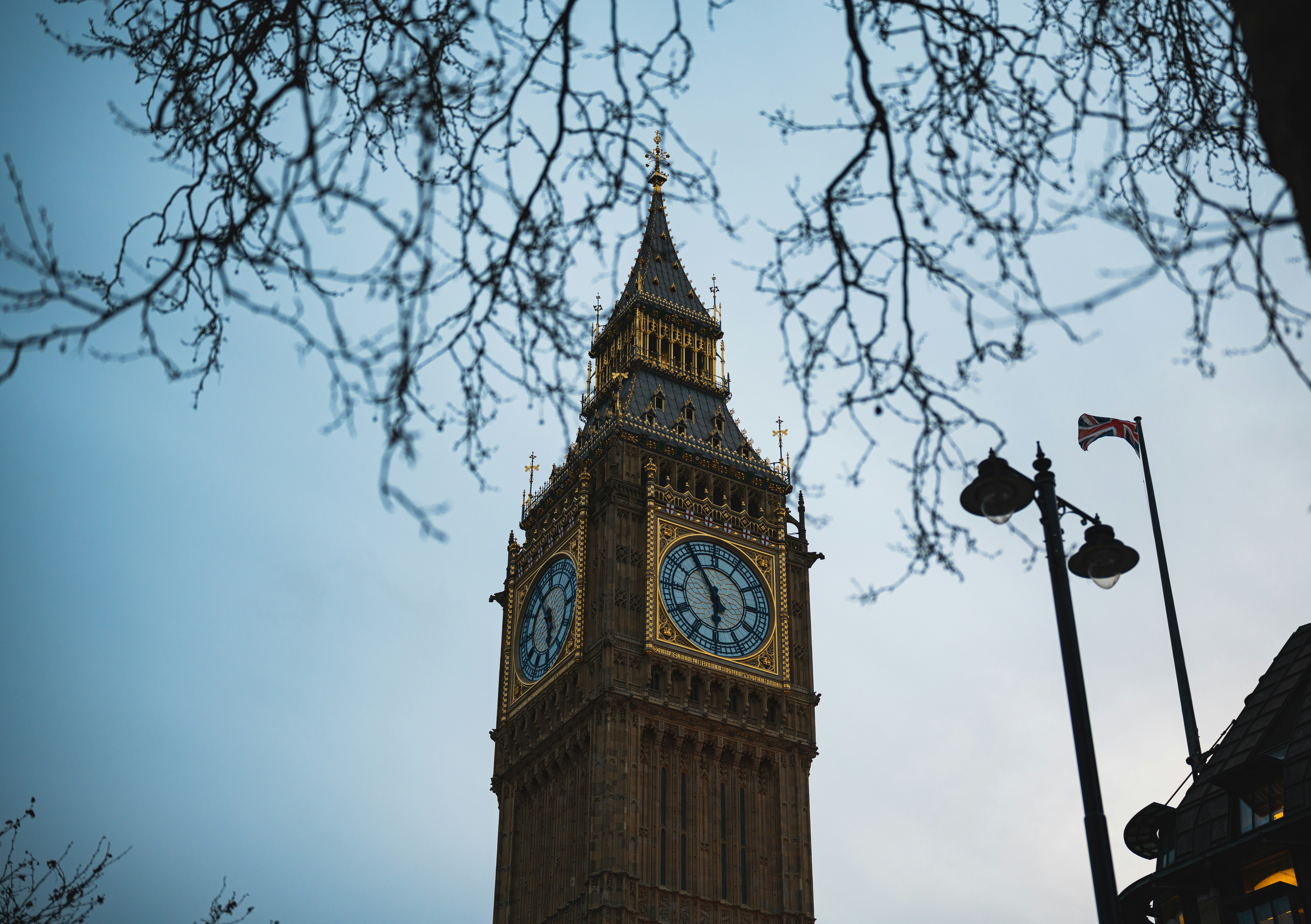 Clock Tower Beneath Winter Branches