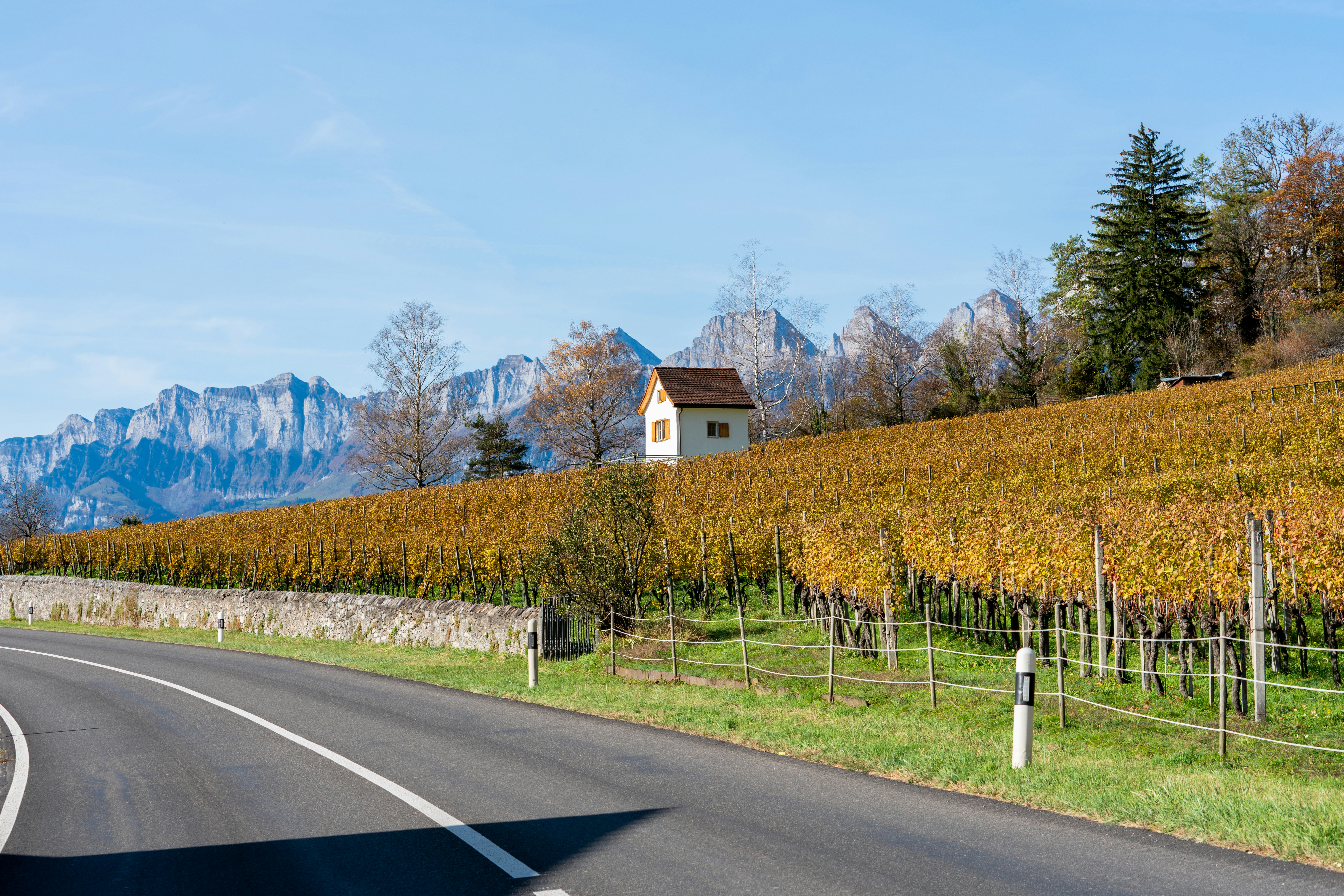 Tiny Chalet Among Autumn Vines with Alpine Backdrop