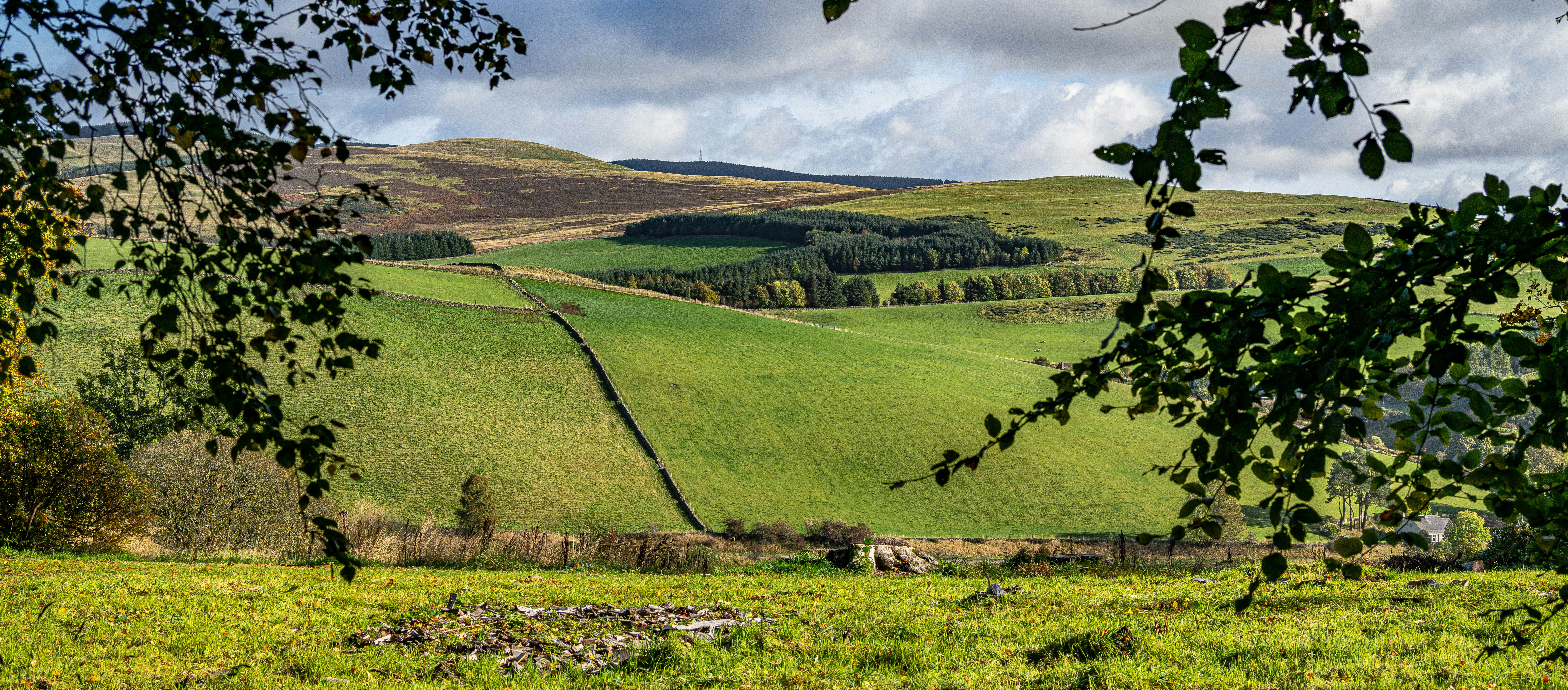 A lush green field with trees and hills in the background photo – Free ...