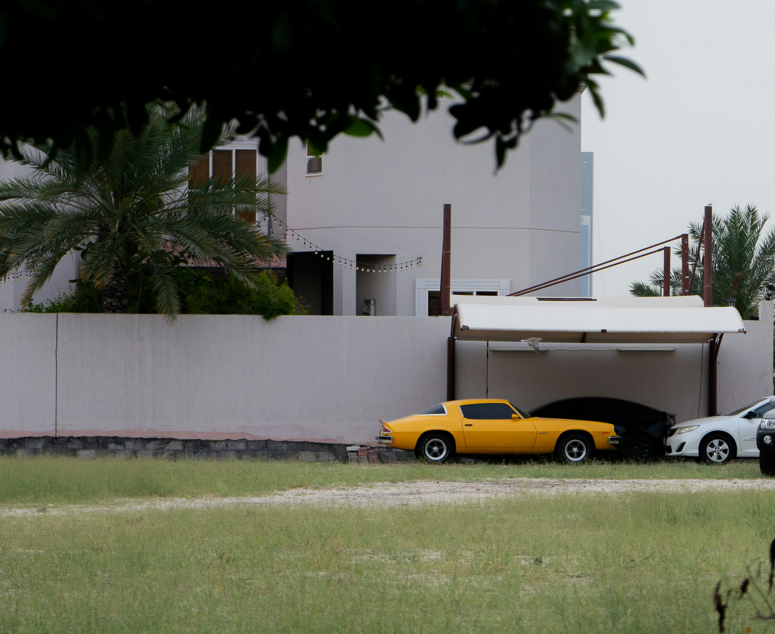 Yellow Muscle Under Shelter: A Quiet Driveway Moment