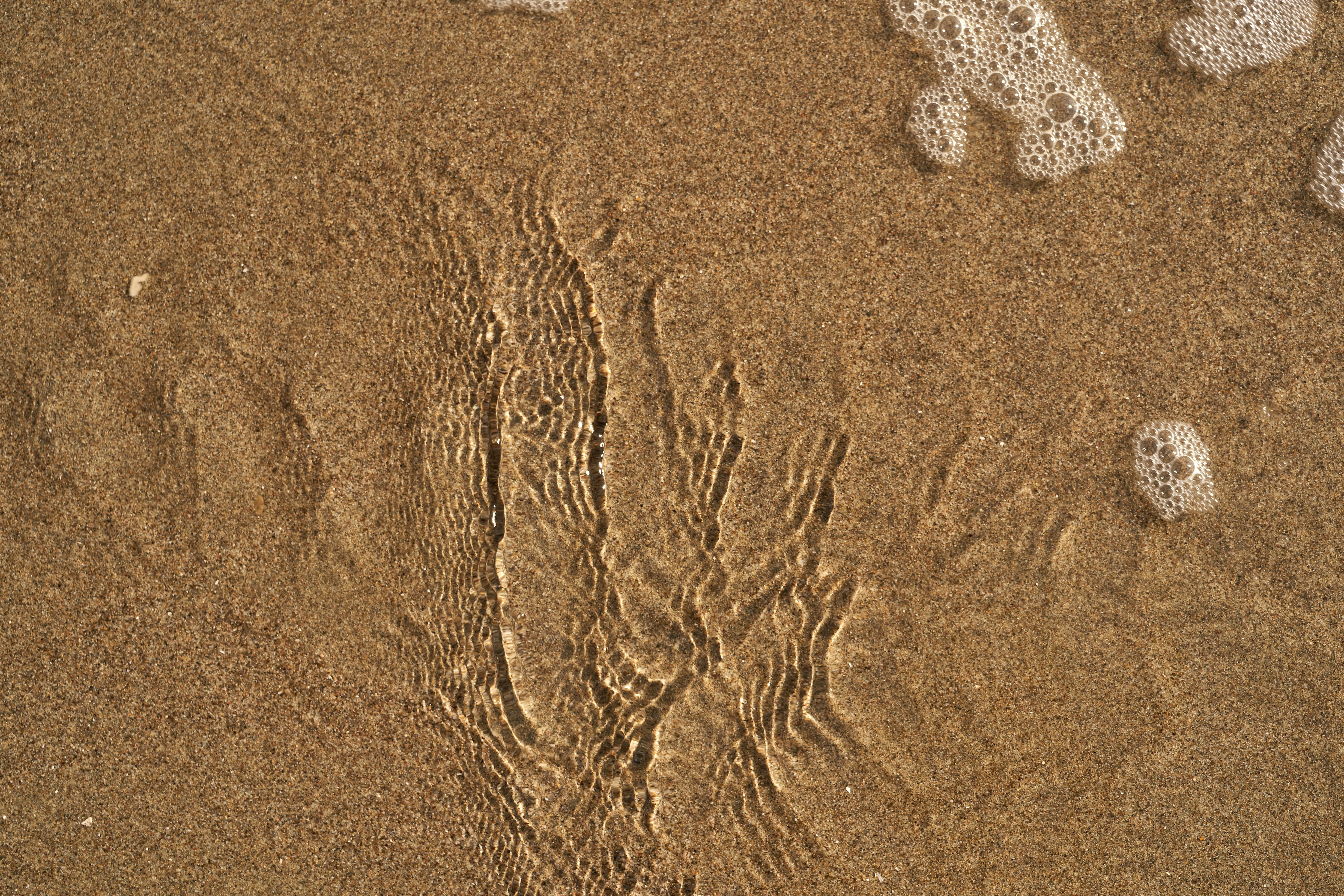 Ridge Echoes on Wet Sand at Low Tide