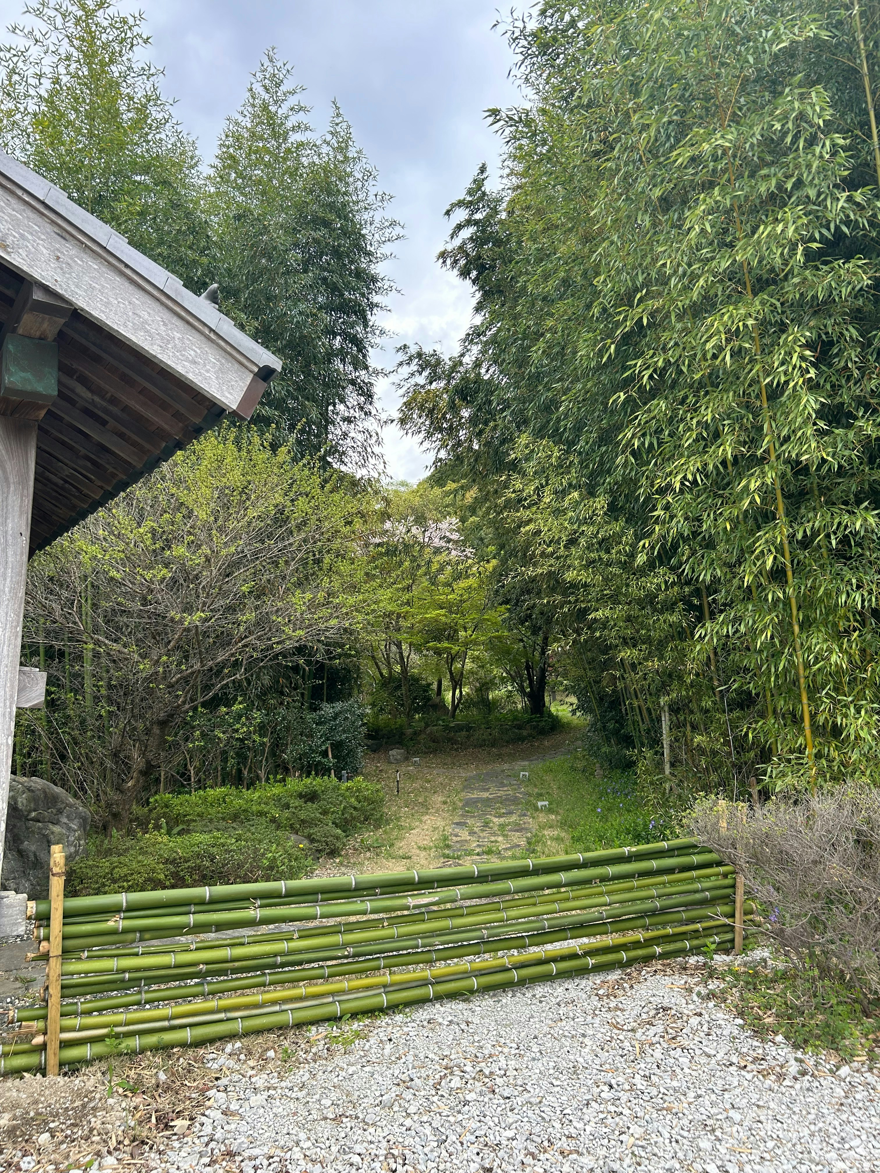 Narrow path lined with tall bamboo and a rustic gate, leading into a tranquil forest setting.