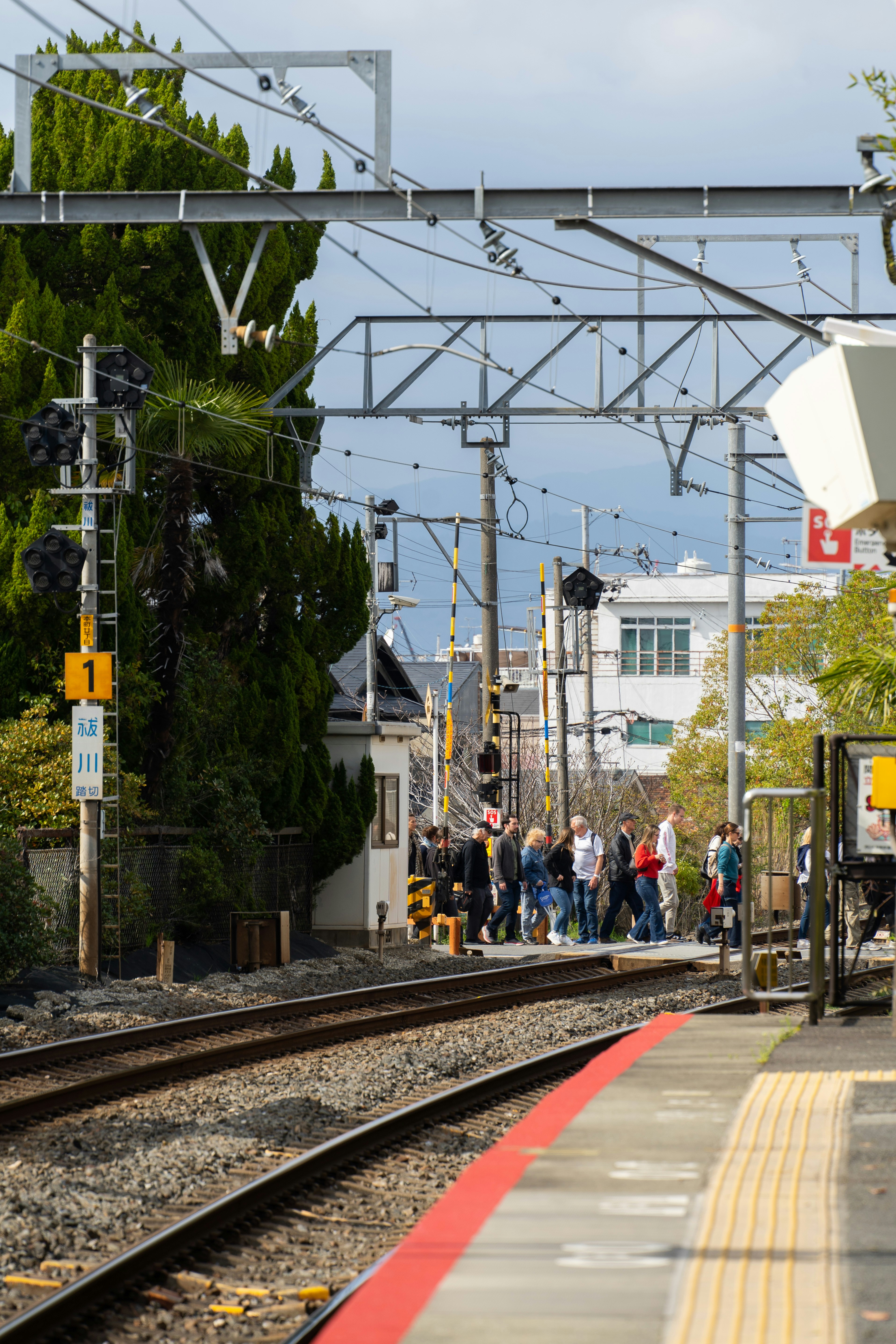 Crossing the Tracks: A City Crowd at a Quiet Station