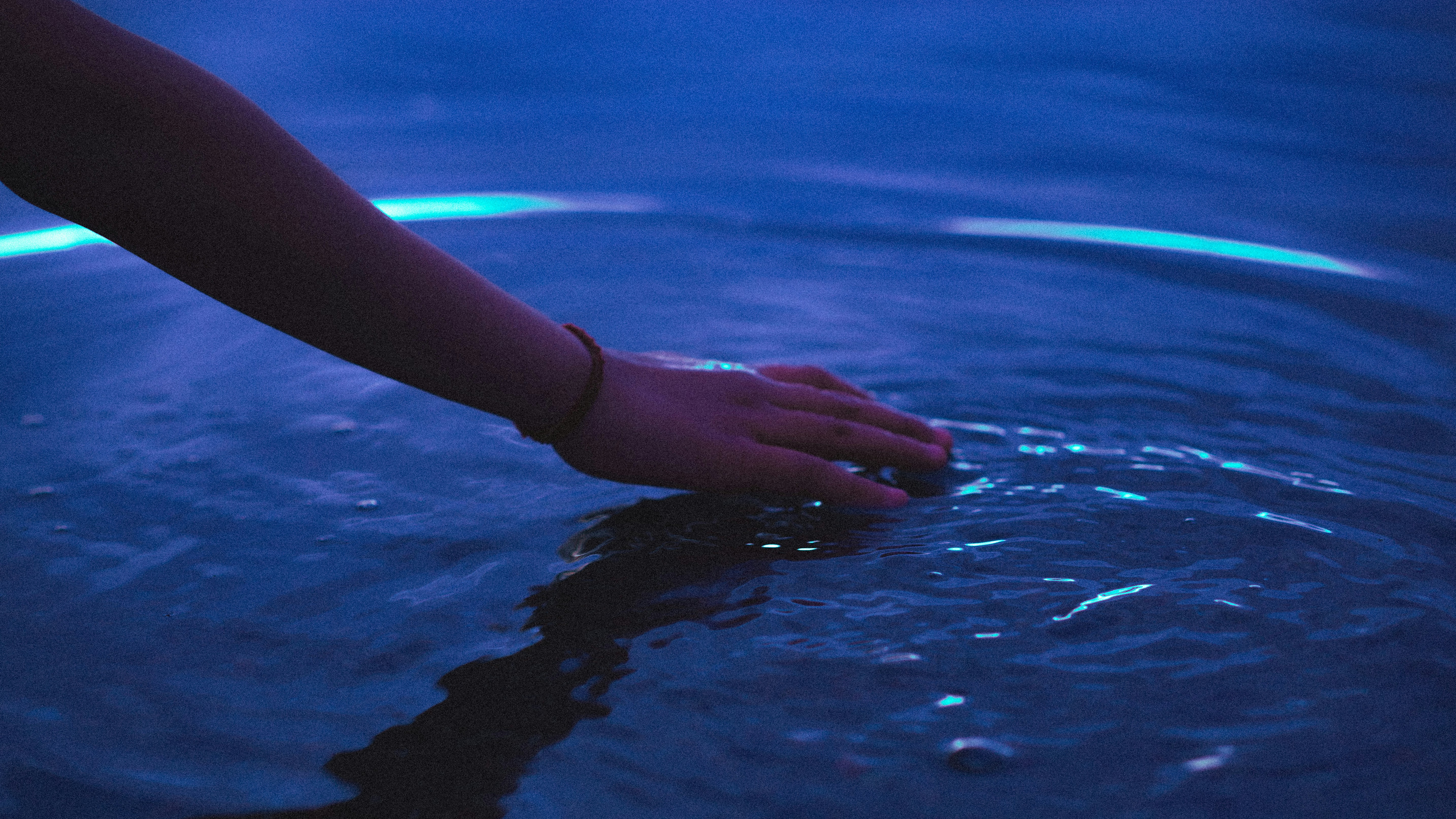 A person reaching for something in the water photo – Free Hand Image on ...