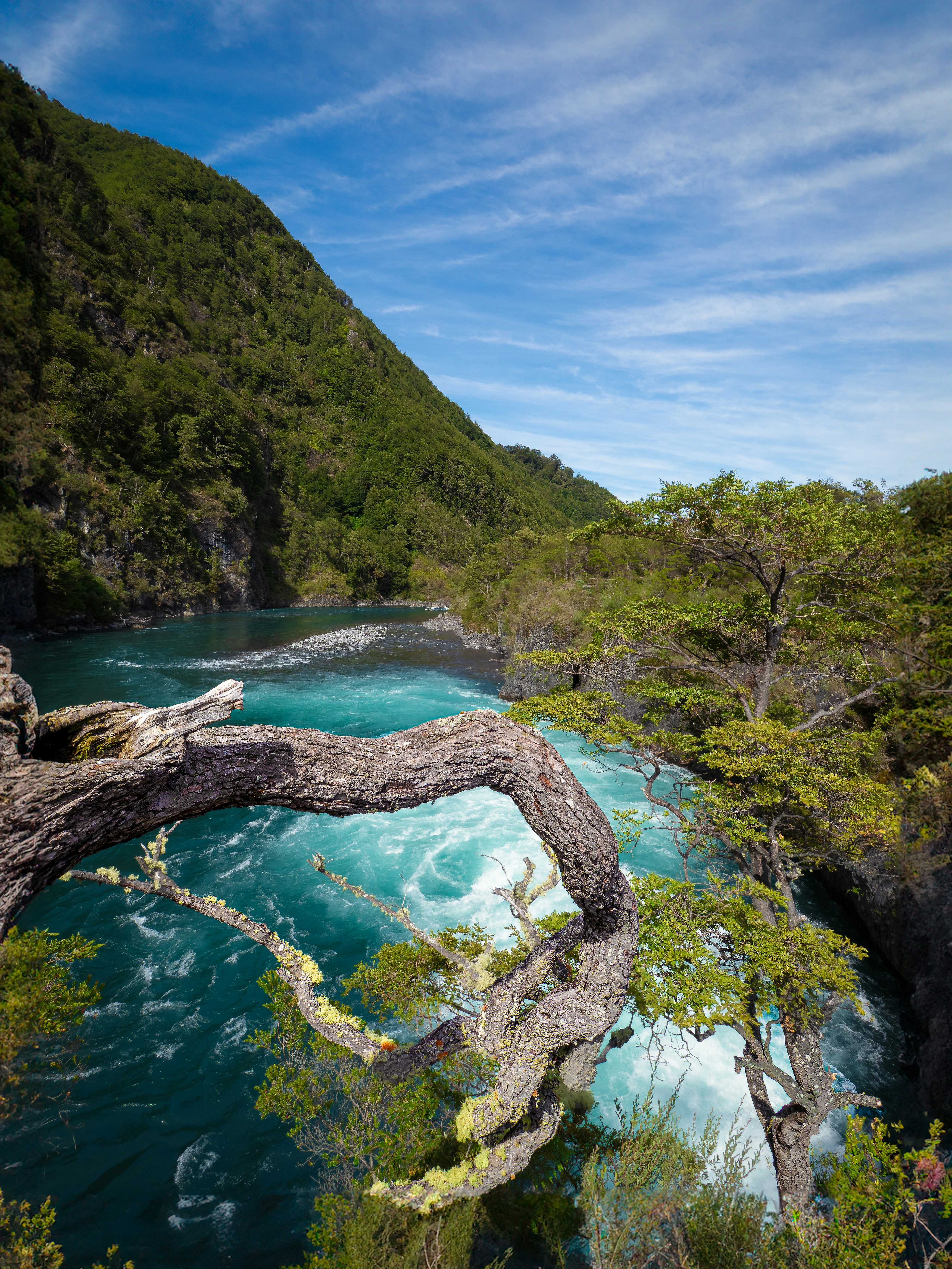 Cerulean Whirl: The Gnarled Arch Over a Turquoise River Gorge