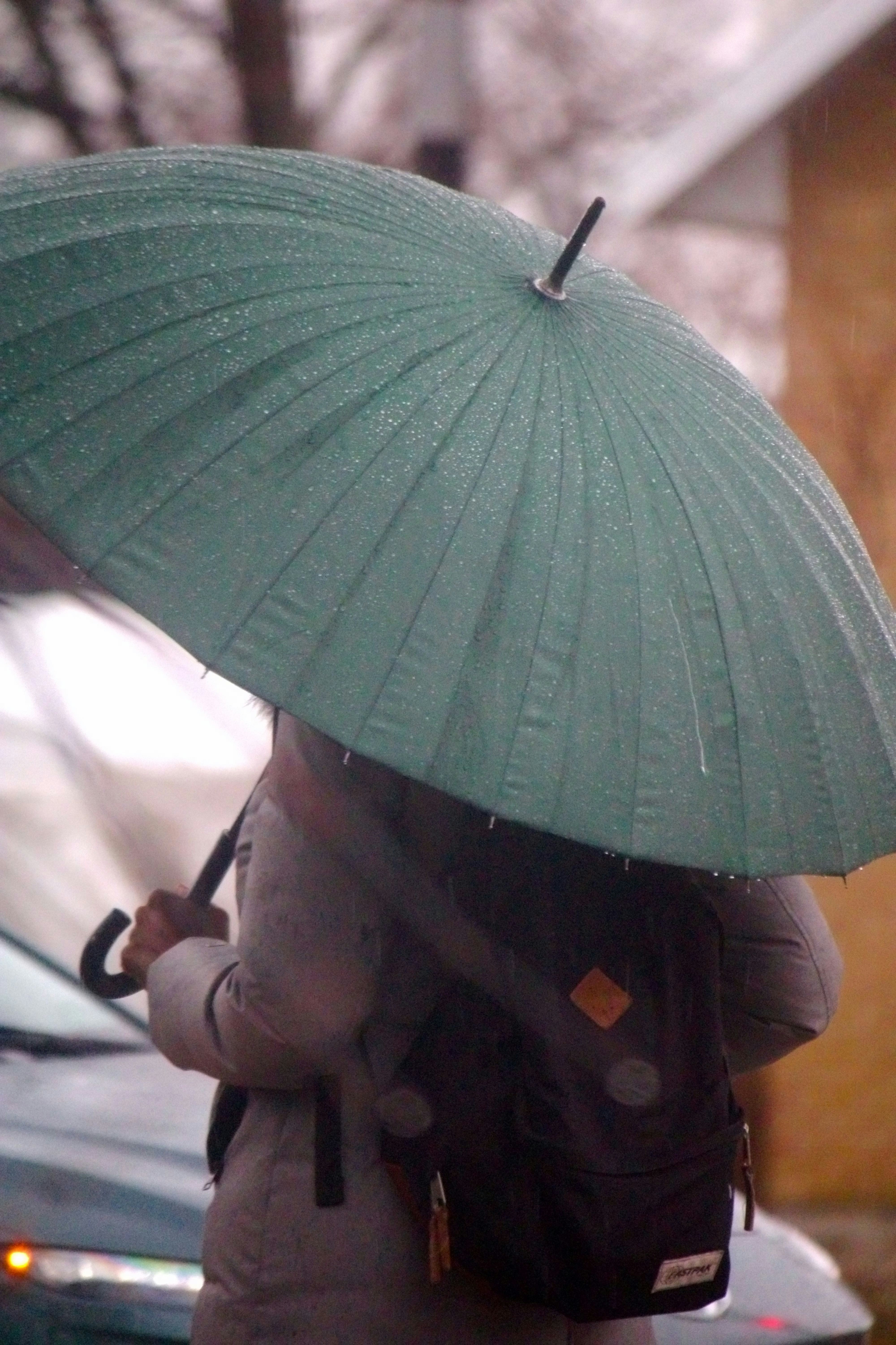 Emerald Umbrella Framing a Rain-Dusted City Walk