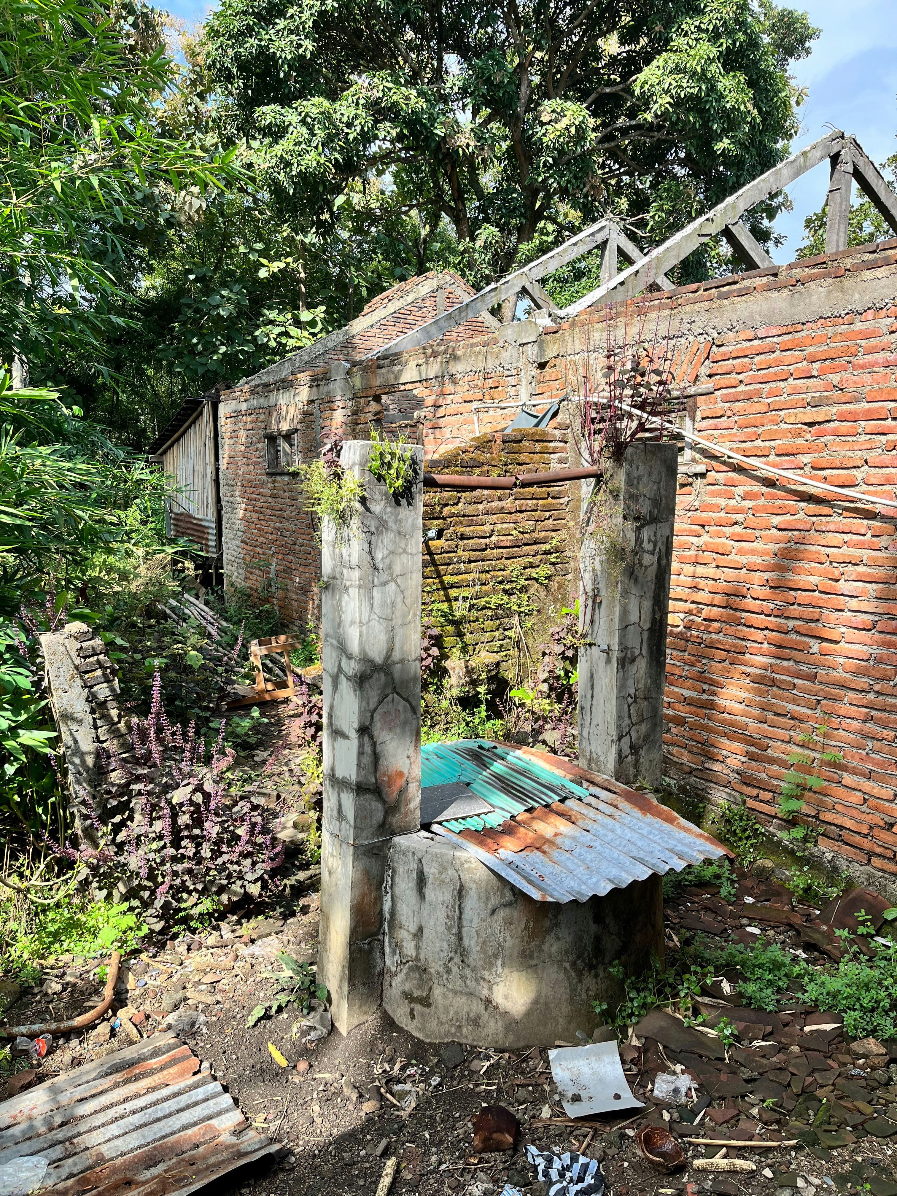 Sunlit Ruins: A Quiet Corridor of Brick and Moss