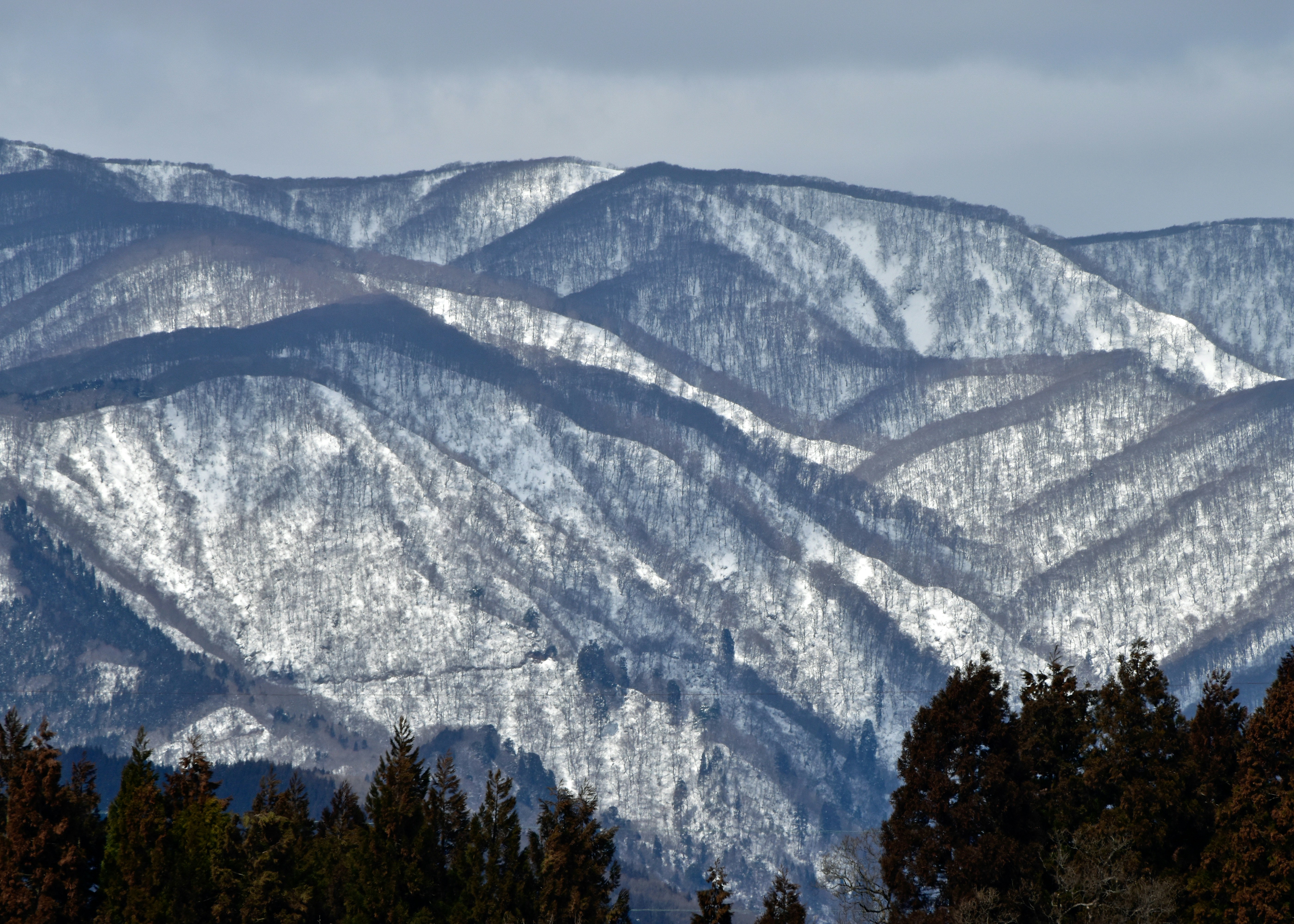 Snow-dusted mountain range with undulating peaks and a backdrop of cloudy skies, showcasing the serene beauty of winter.