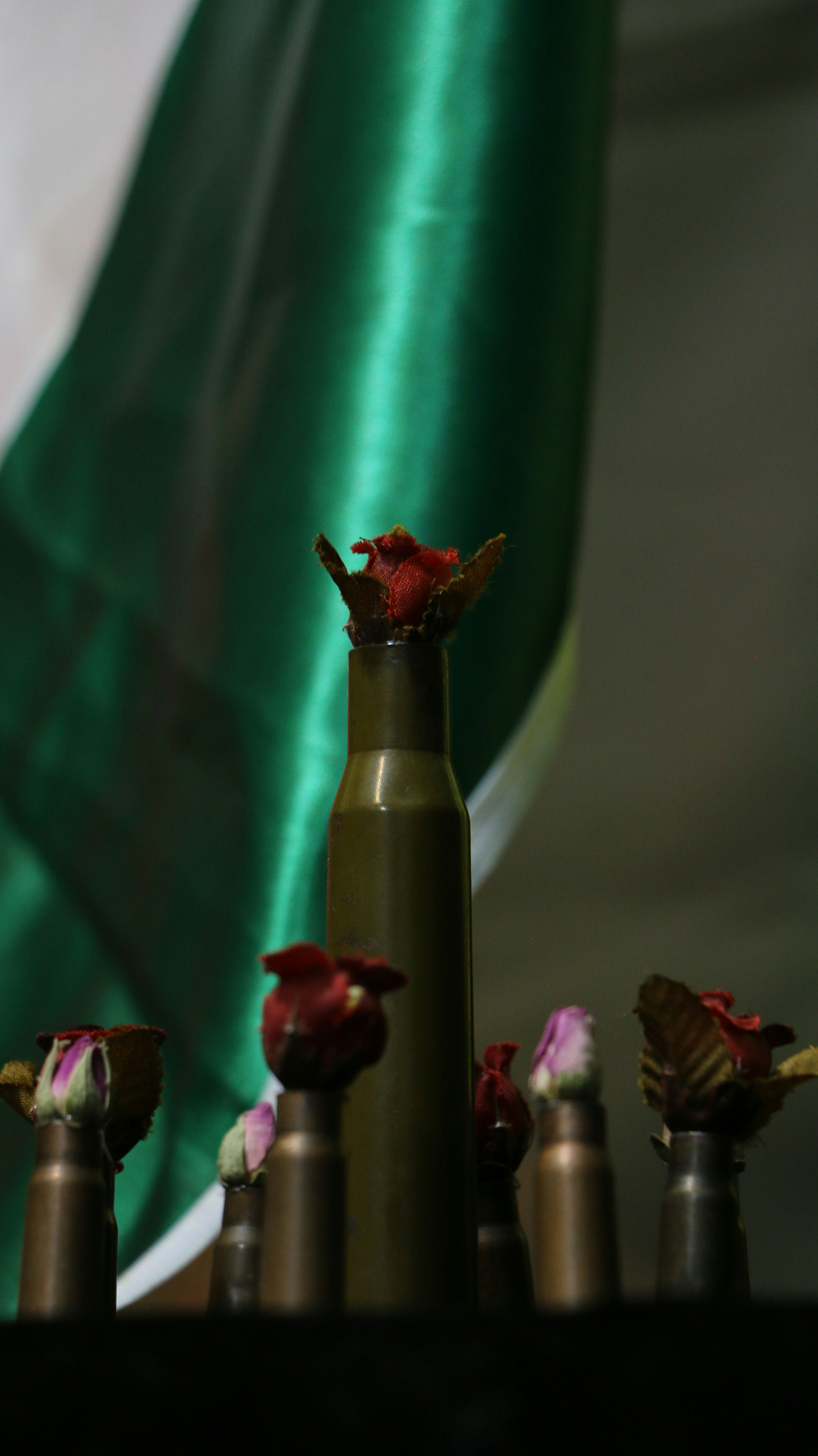 Blossoms of Resilience Amidst the Shadows of Conflict