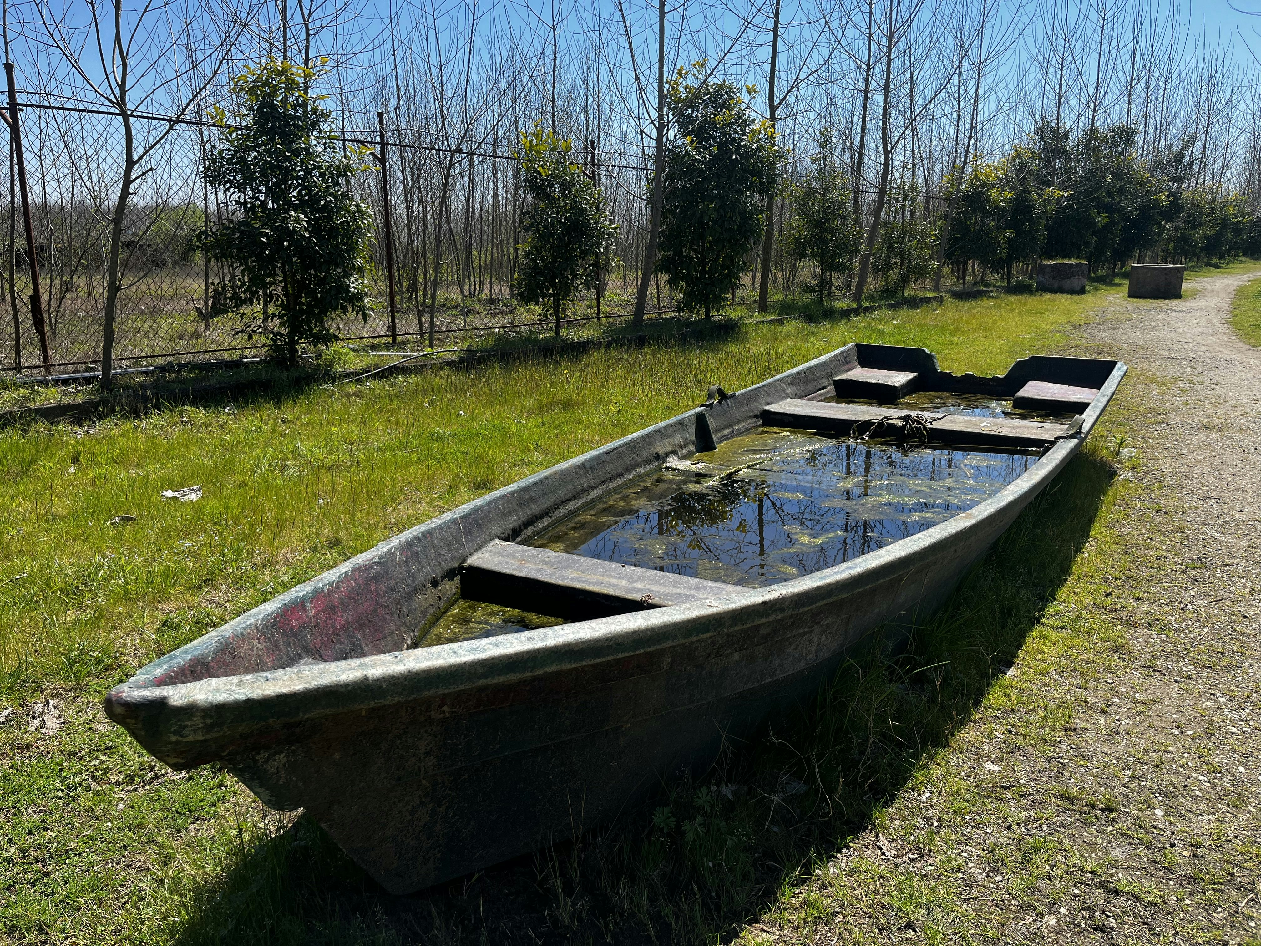 Forgotten Vessel: Nature's Reflection