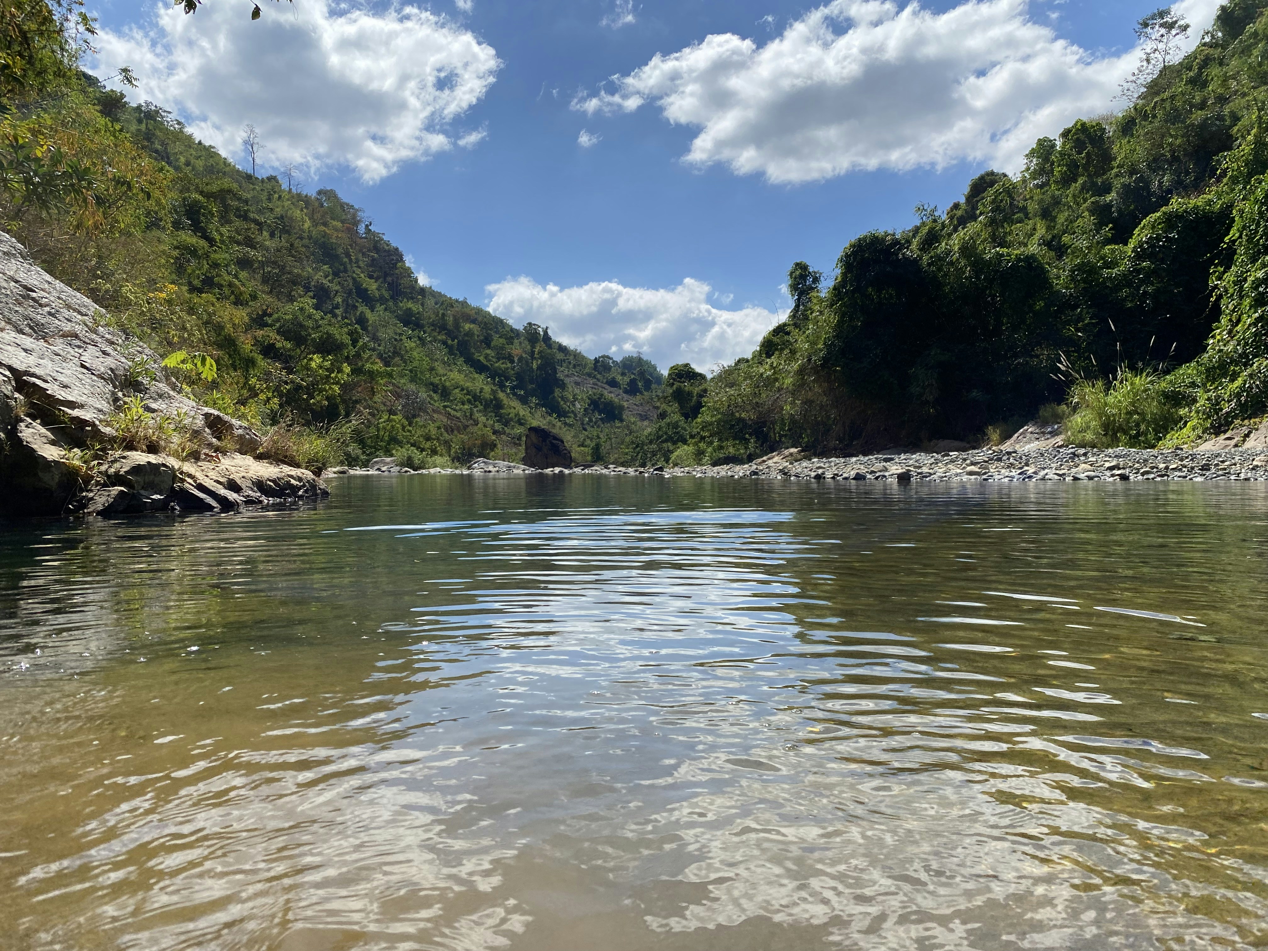 Riverline in the Green Corridor: Light, Reflections, and Quiet Currents