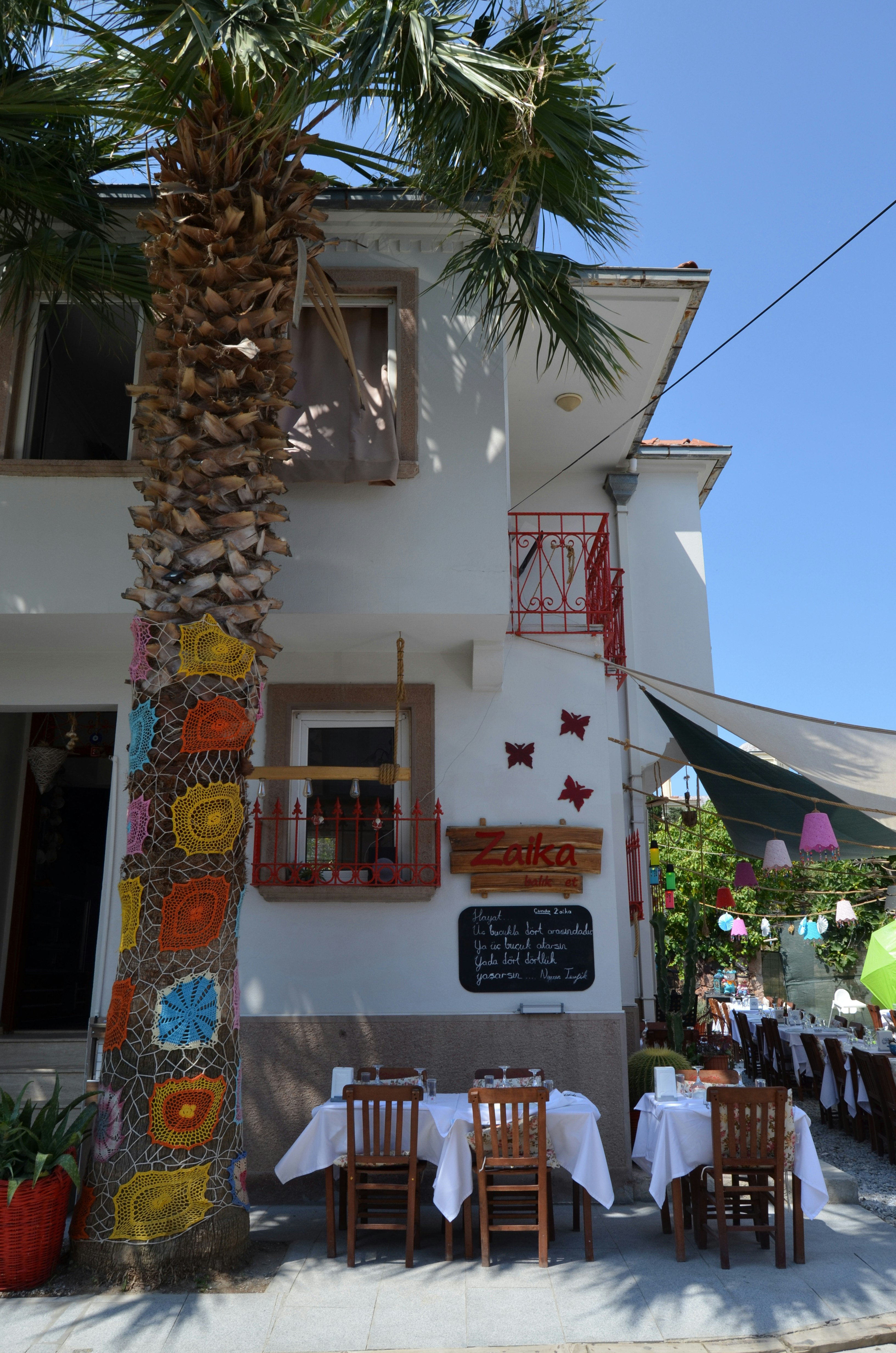Crochet-clad Palm Tree Framing a Sunlit Café Exterior
