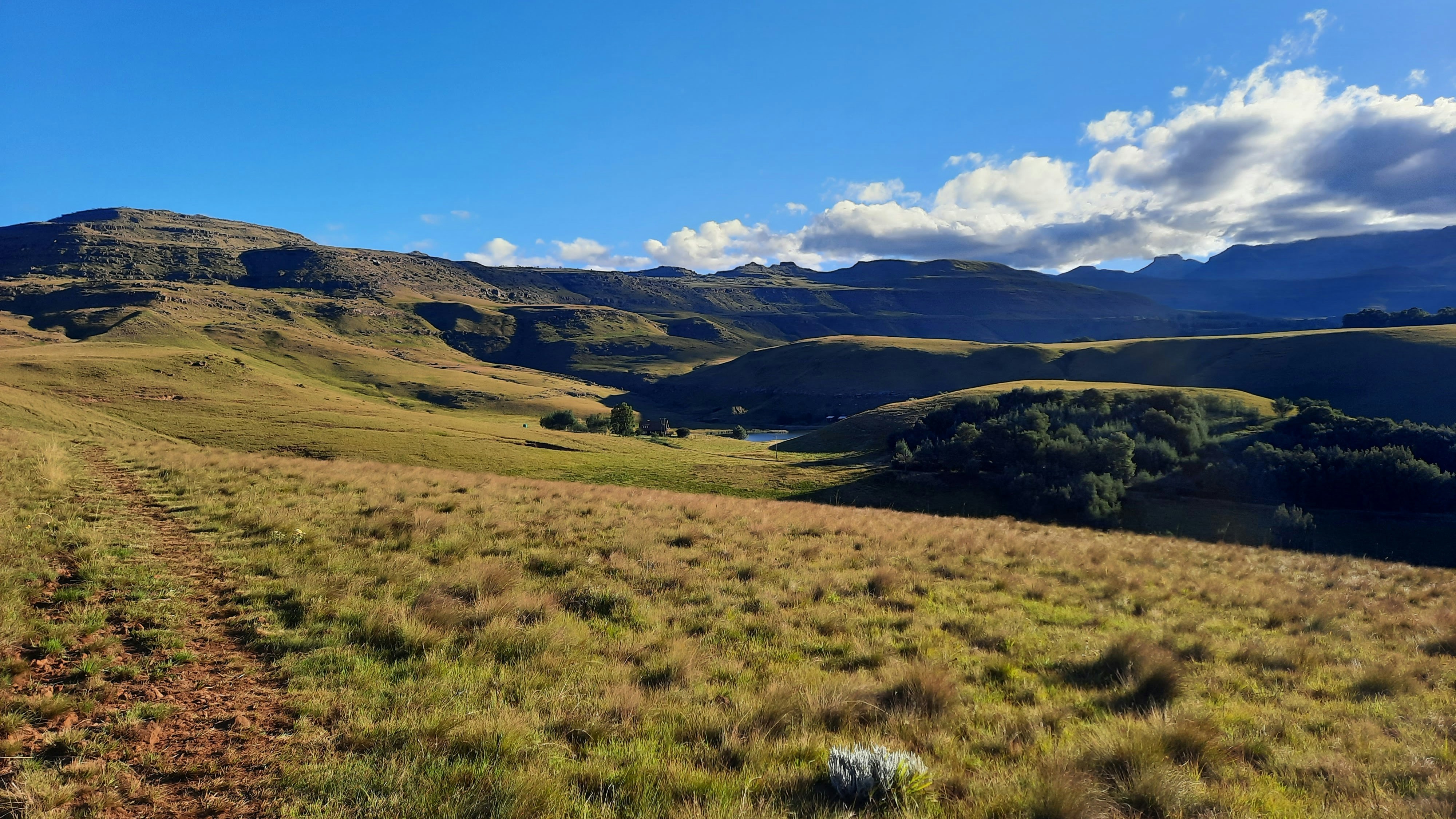 A grassy field with mountains in the background photo – Free Eland ...