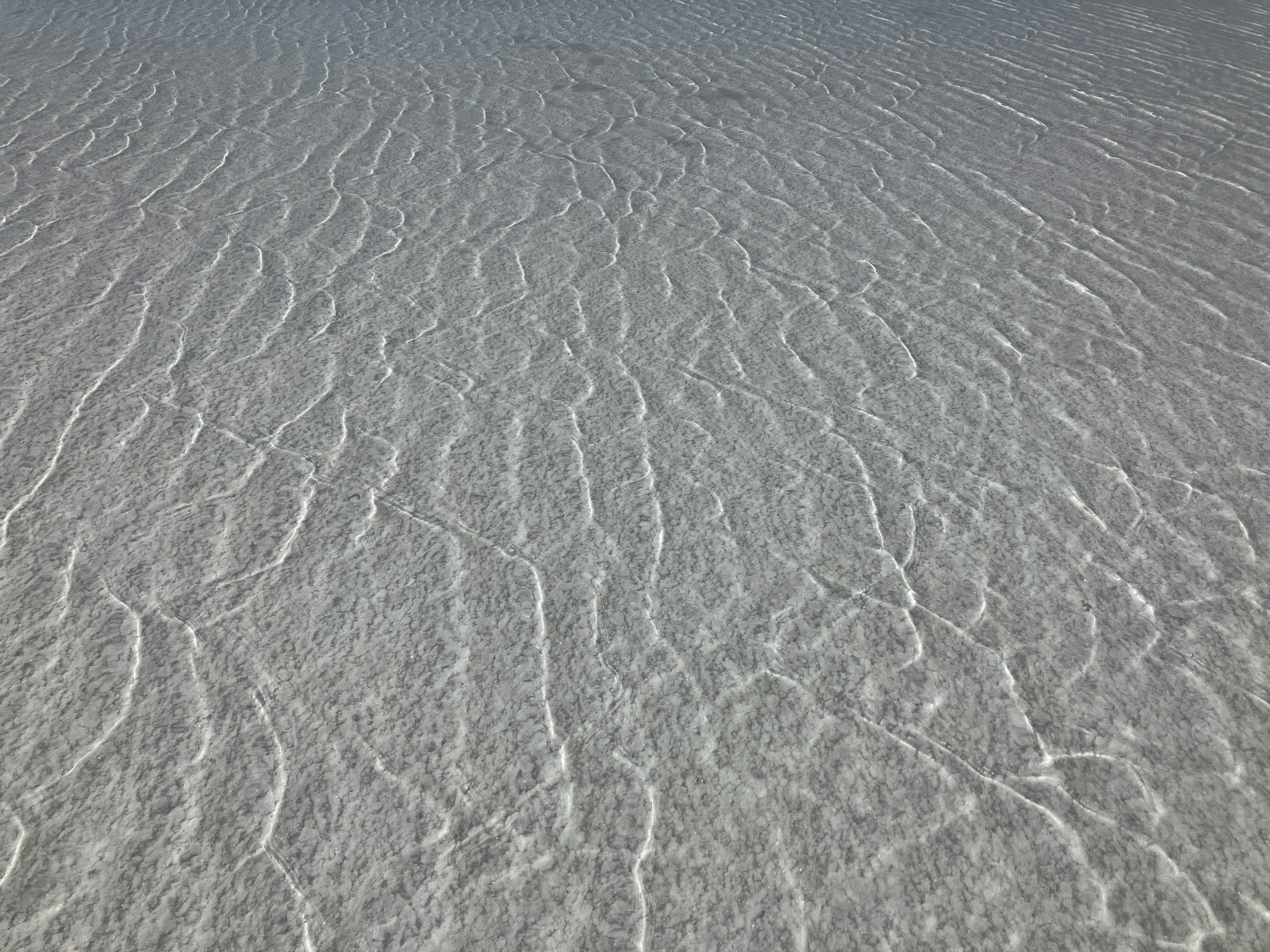 Snow-covered field with intricate wind-swept patterns under a muted sky.