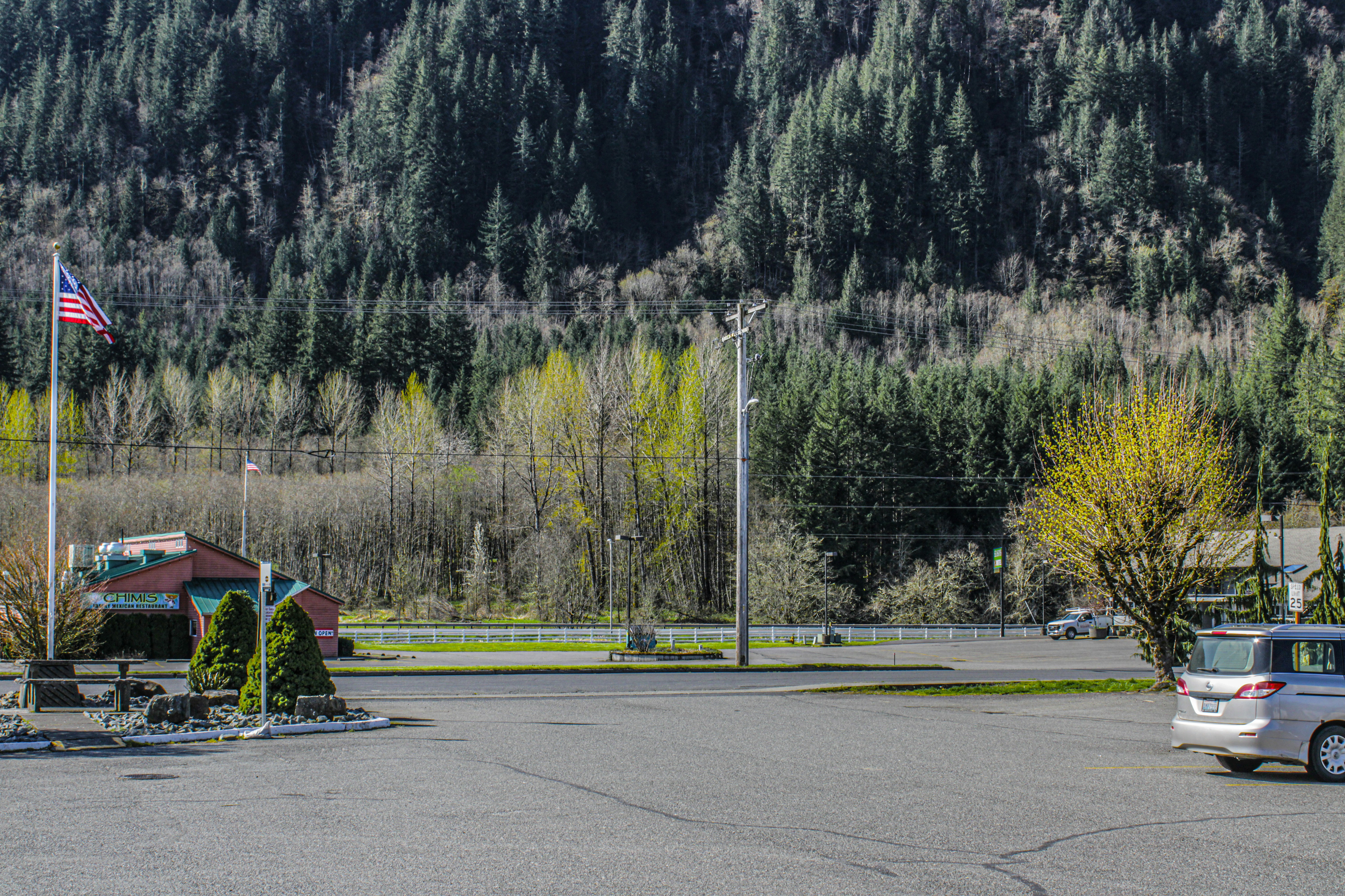 Quiet Parking Lot at the Edge of the Pines