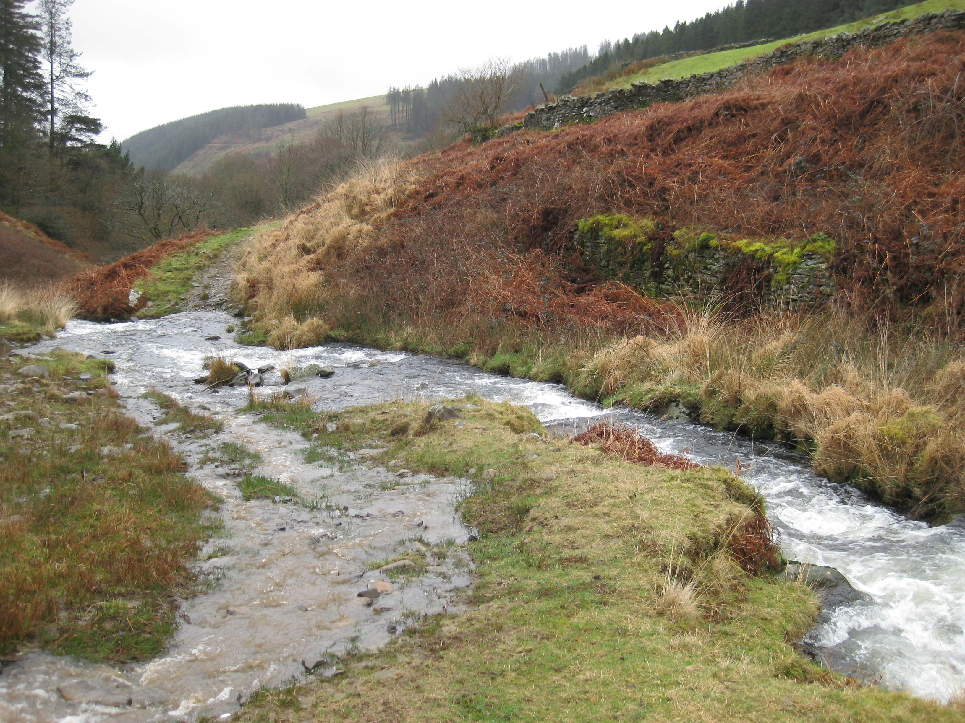 A stream running through a lush green hillside photo – Free Countryside ...