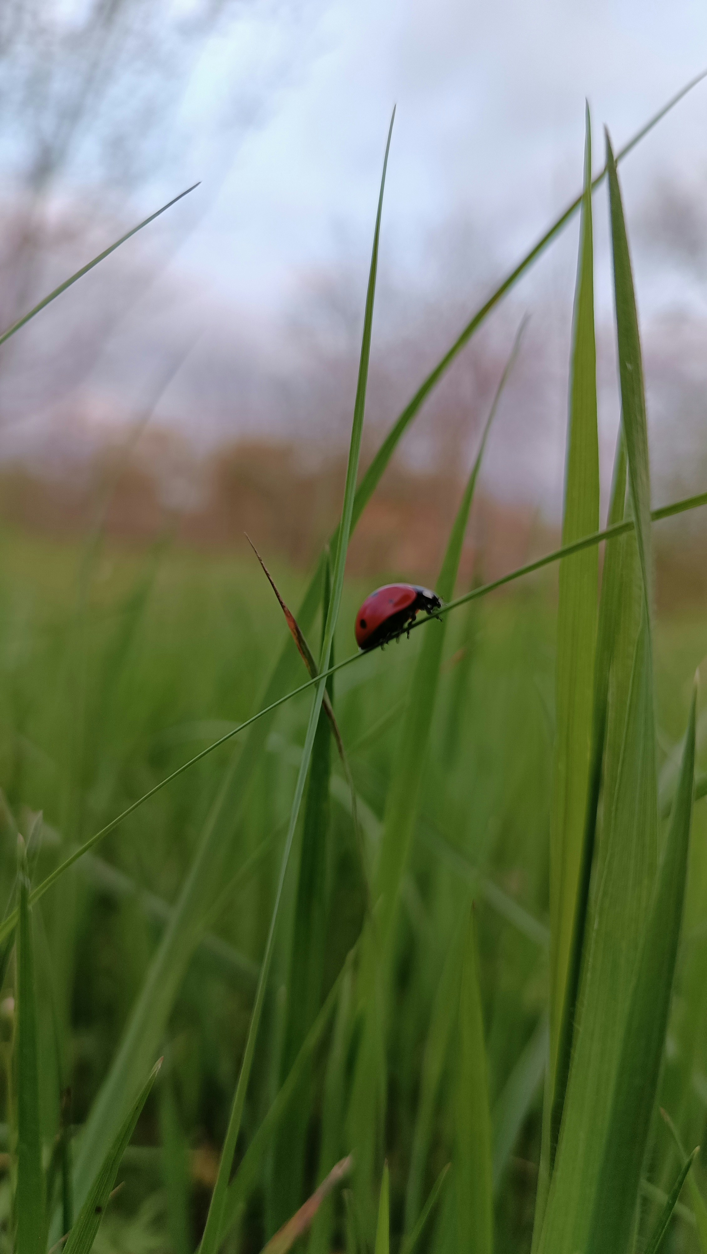 Photo by Nilufar Jabrayilbayli with Xiaomi Redmi Note 12S