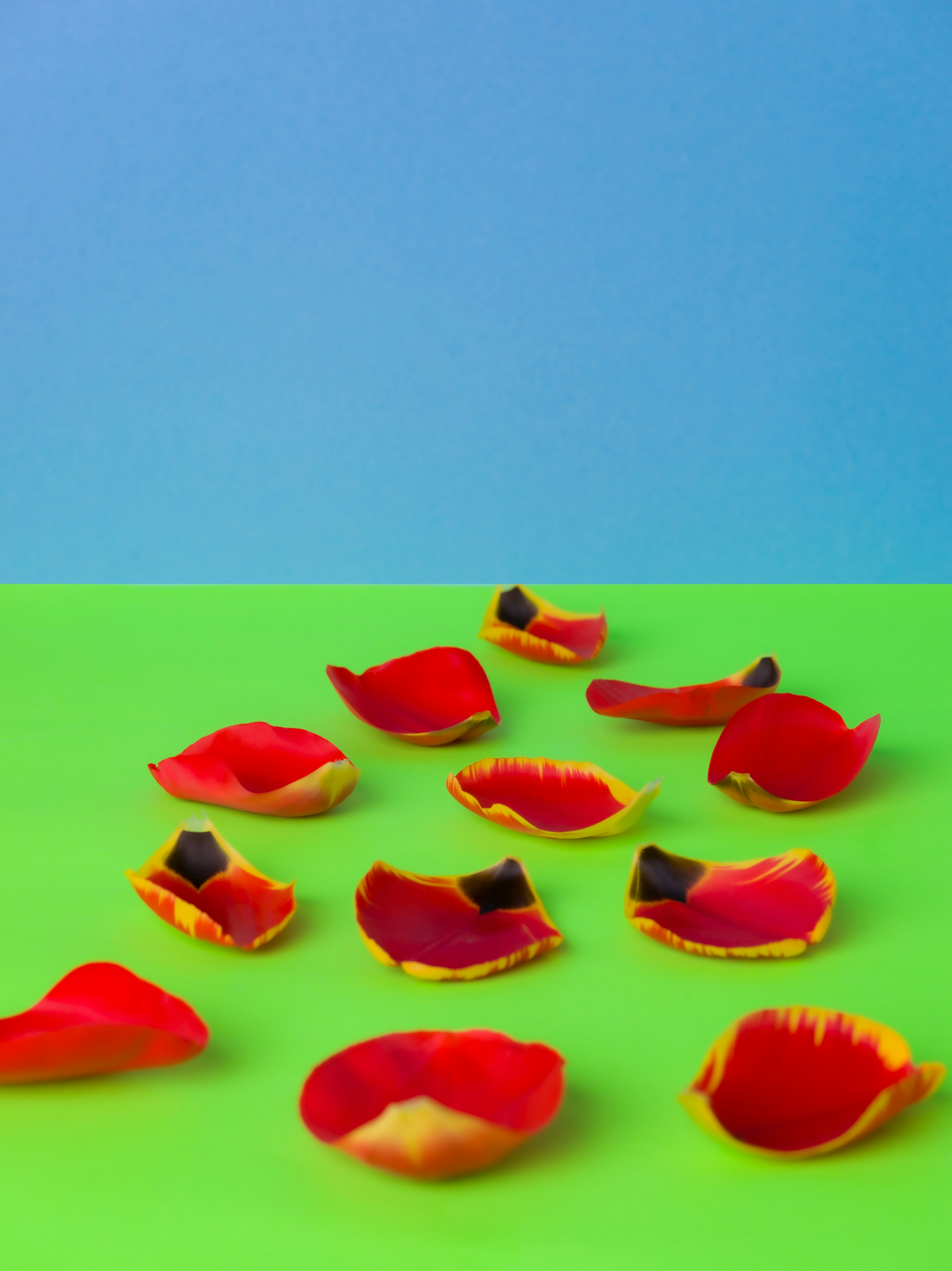 30k+ Color Blocking Pictures | Download Free Images on Unsplash