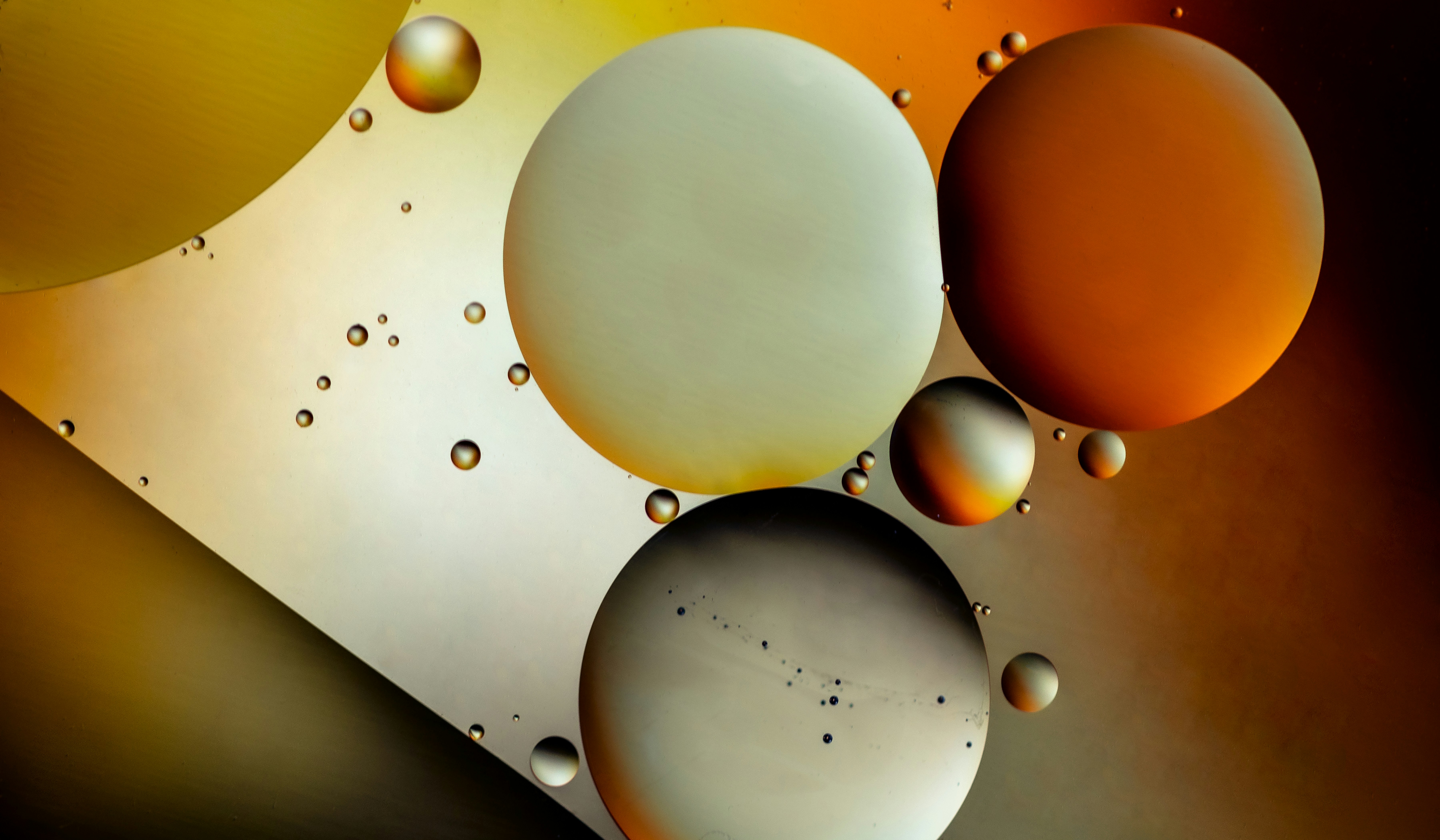 A group of bubbles floating in the air photo – Free Calming Image on ...