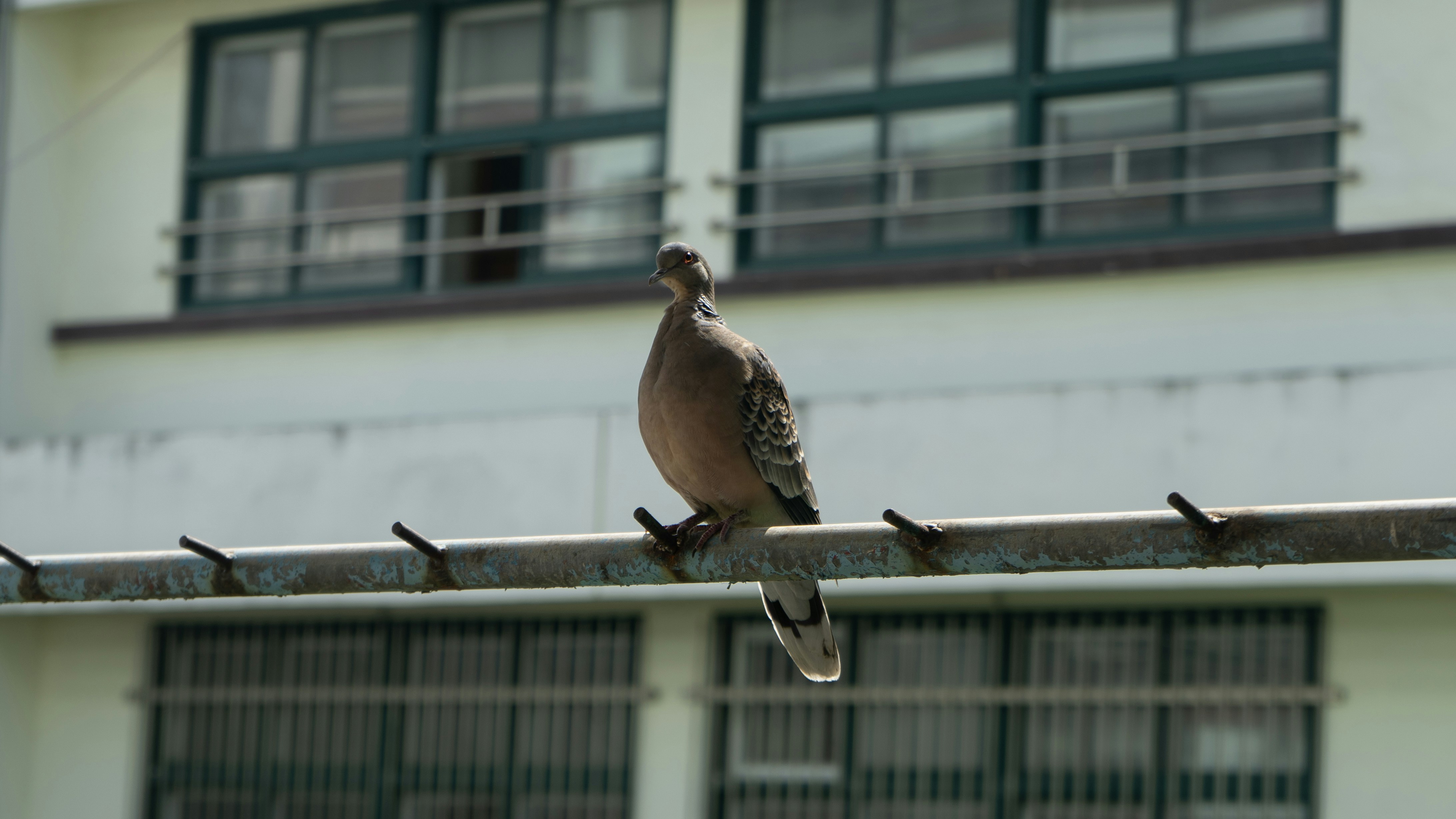 Photo by Sungho Moon with Sony Alpha 7