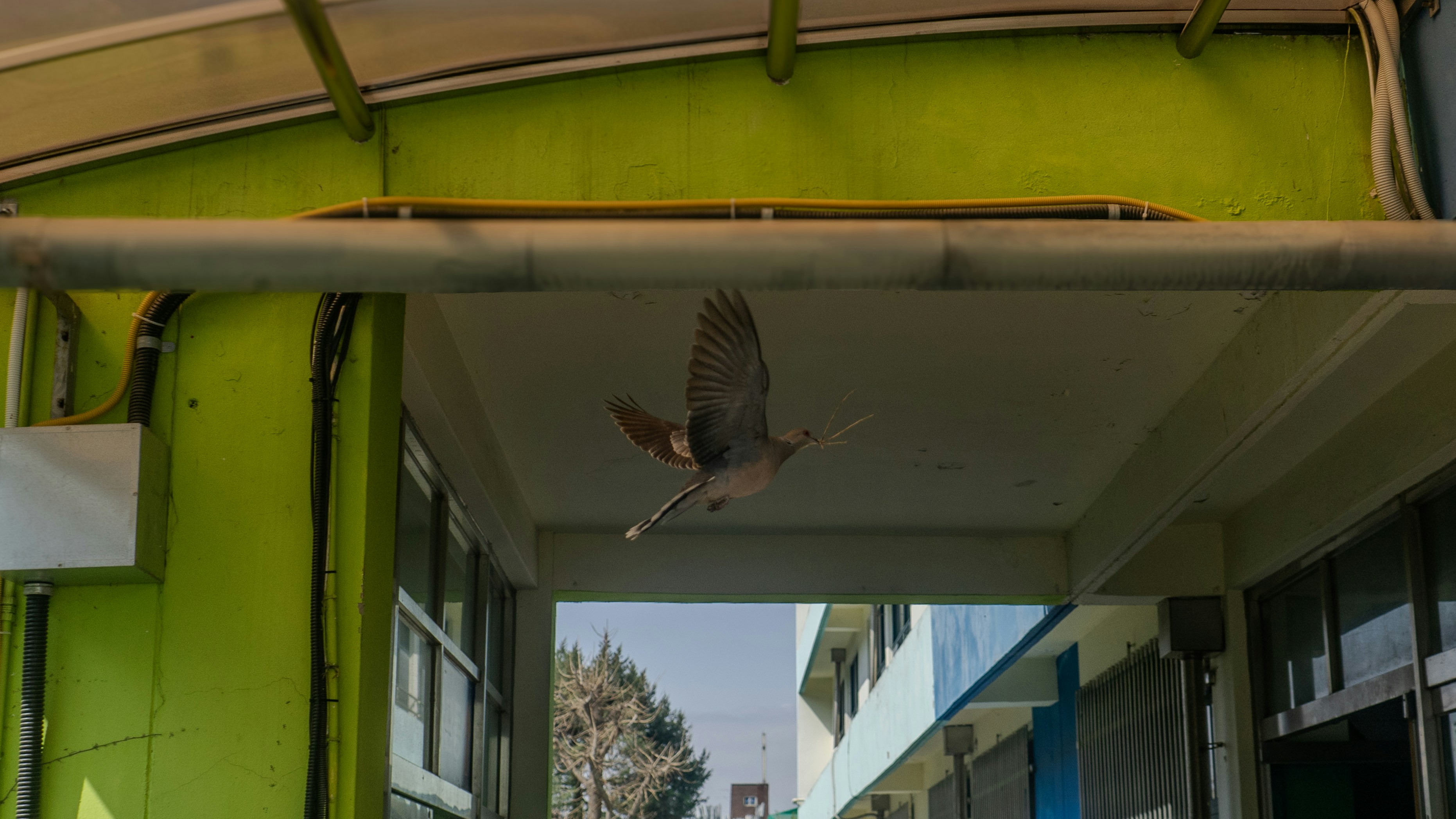 Photo by Sungho Moon with Sony Alpha 7