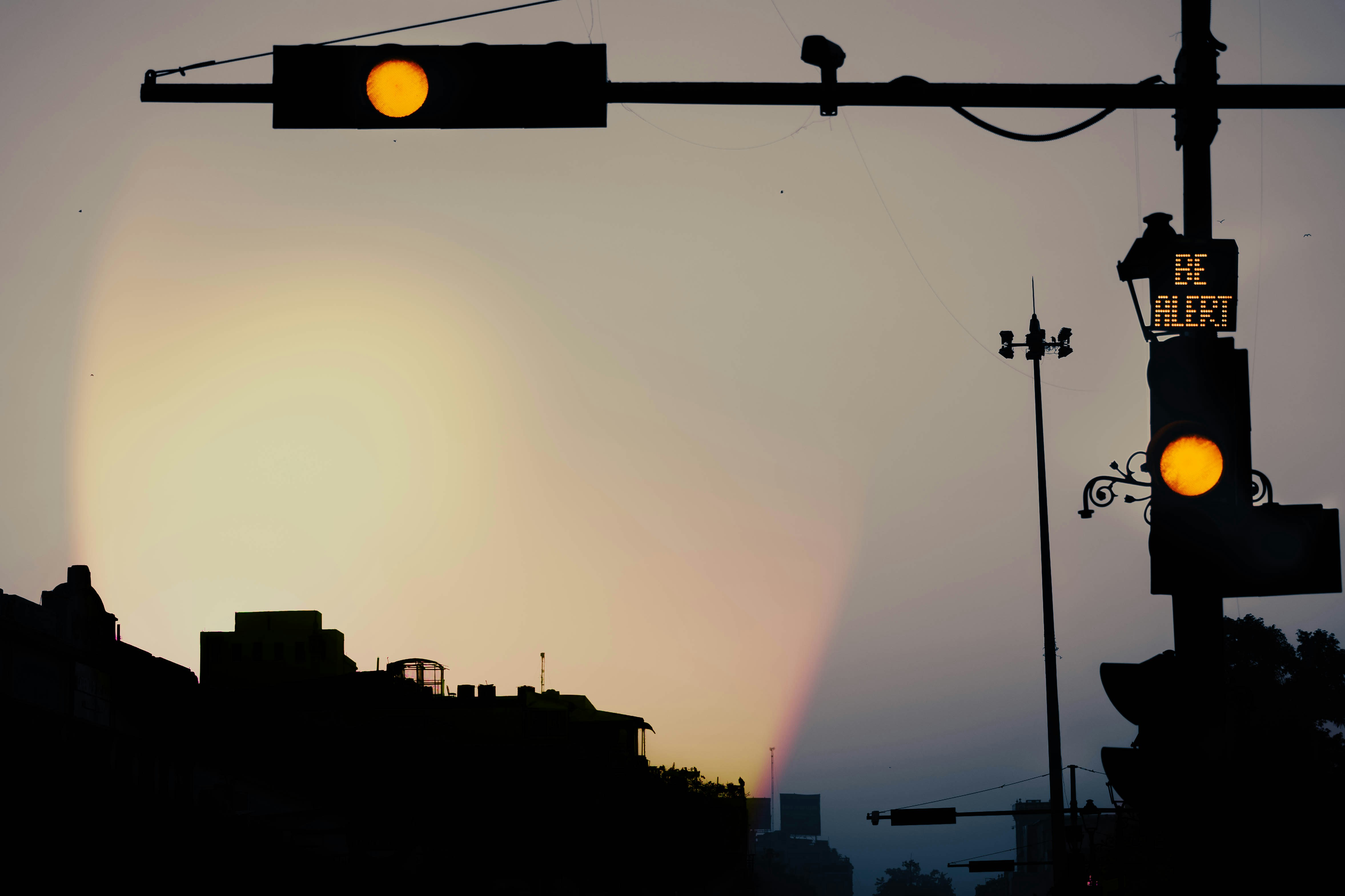 Be Alert at Dusk: Haloed Crossing Under Silhouettes