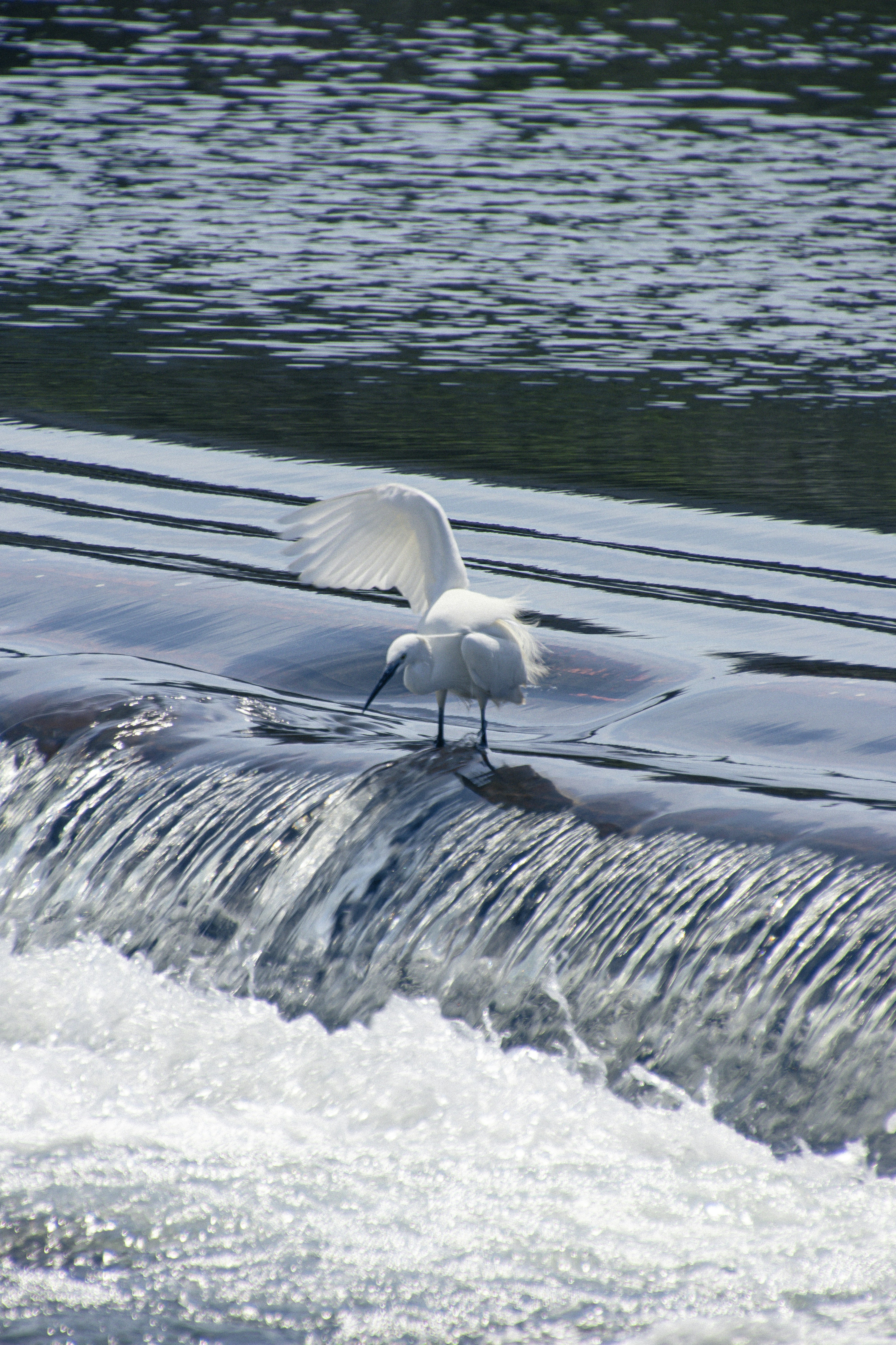 Photo by SLNC with Canon EOS 77D