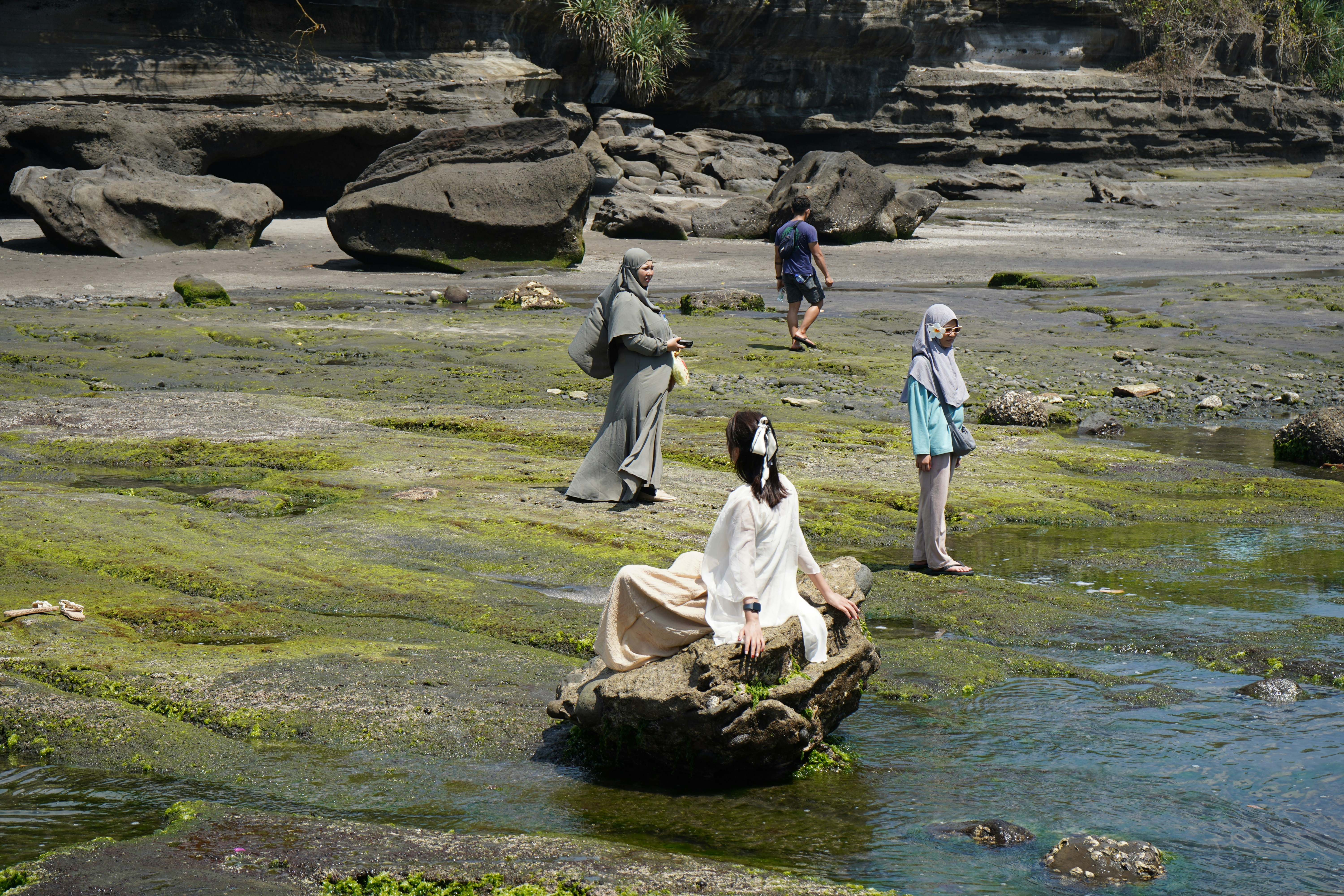 Four figures exploring a rocky shoreline adorned with vibrant green moss and gentle waves. The scene captures a moment of tranquility and connection with nature.