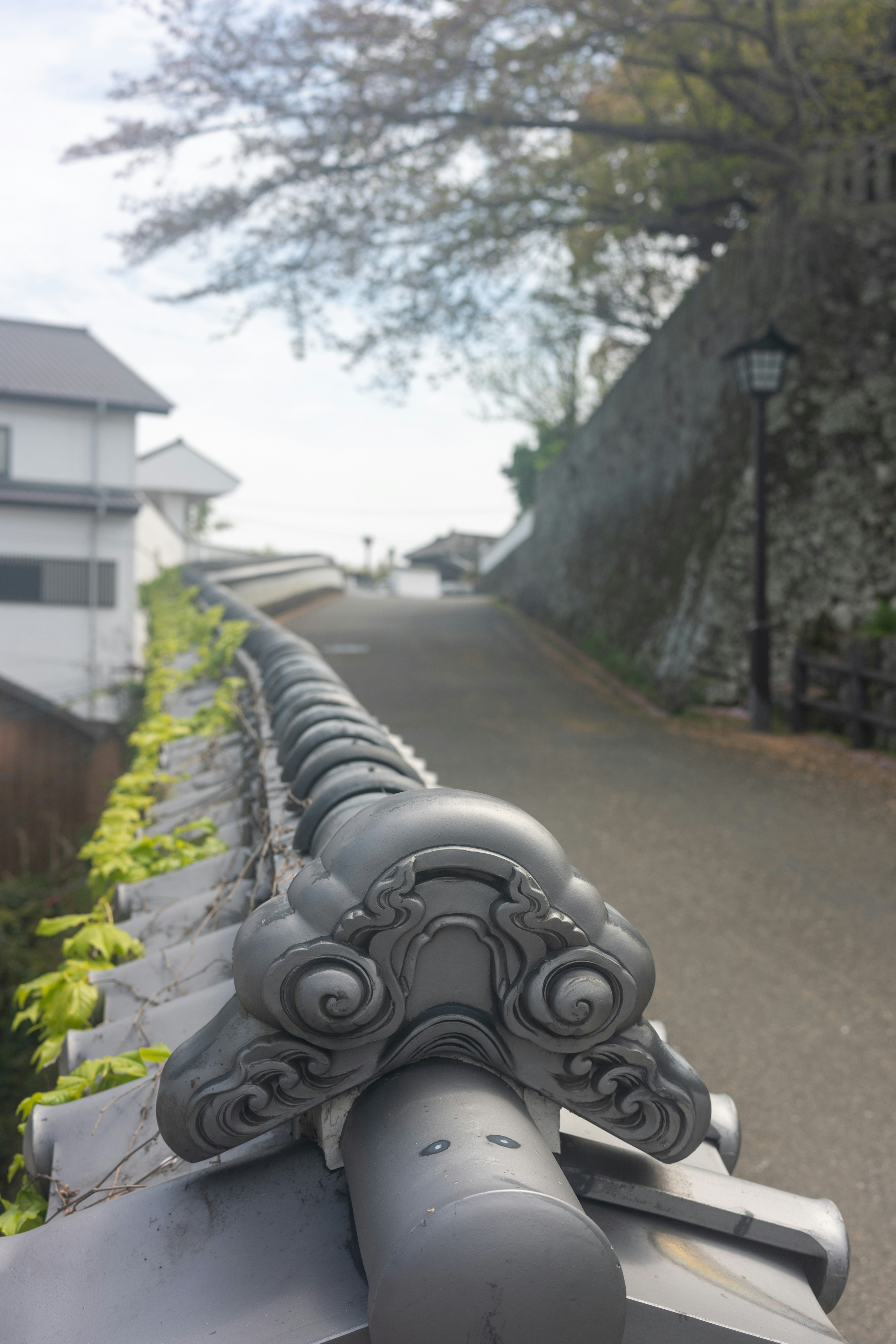 Kawara Crest in Focus on a Quiet Hillpath