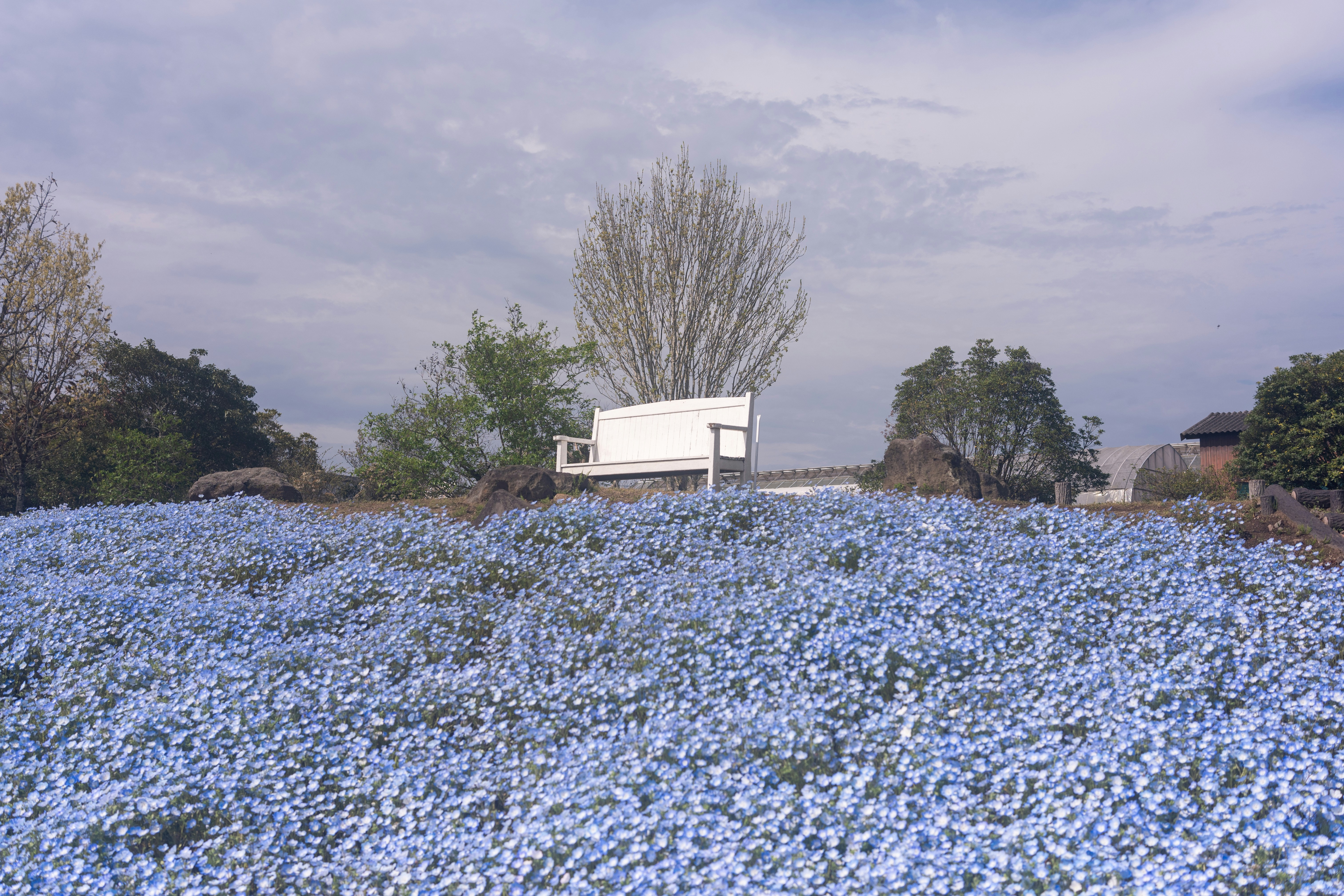 Photo by Kouji Tsuru with Nikon Zf