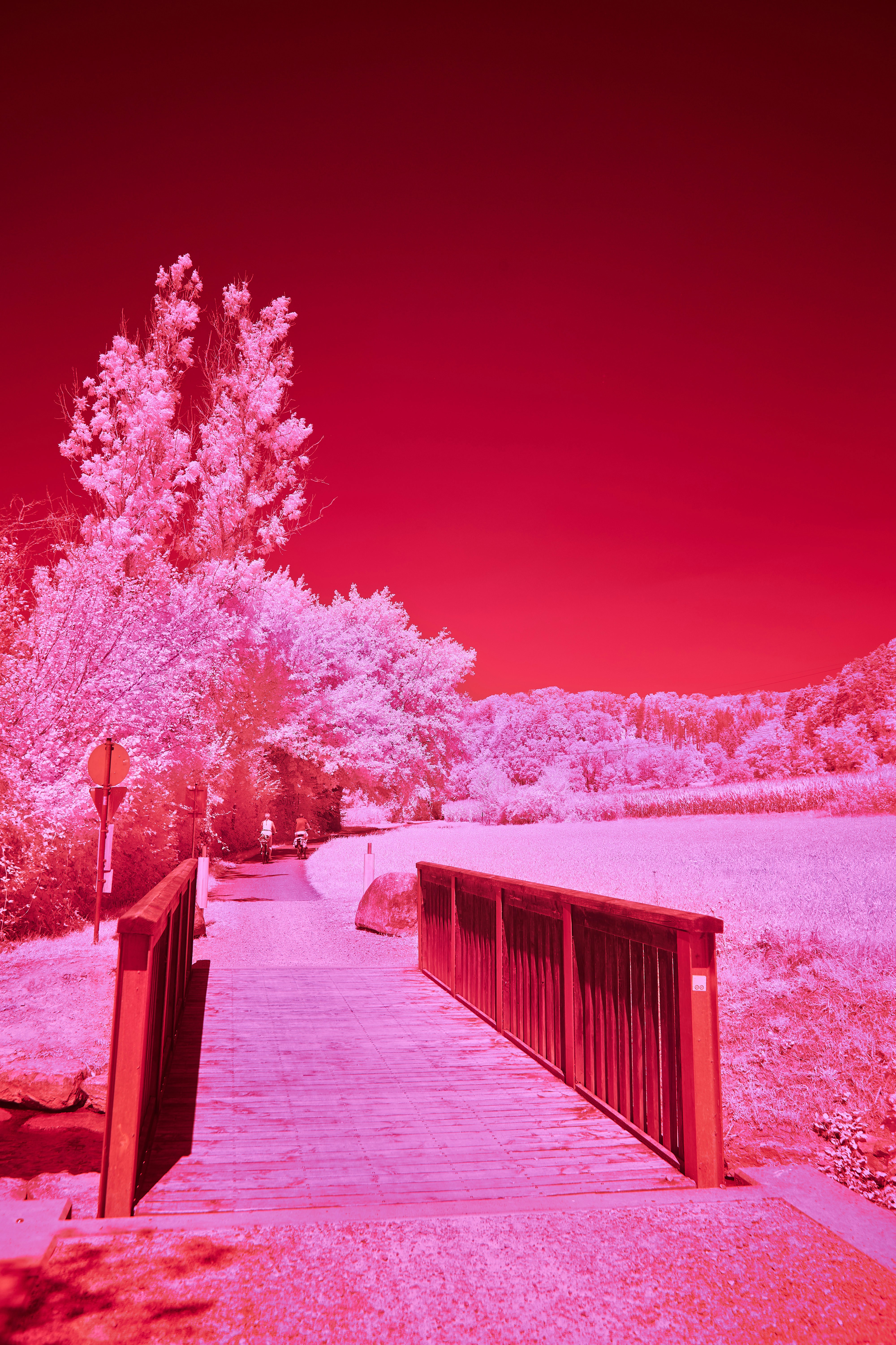 Une image infrarouge rouge et rose d’un pont photo – Image gratuite de ...