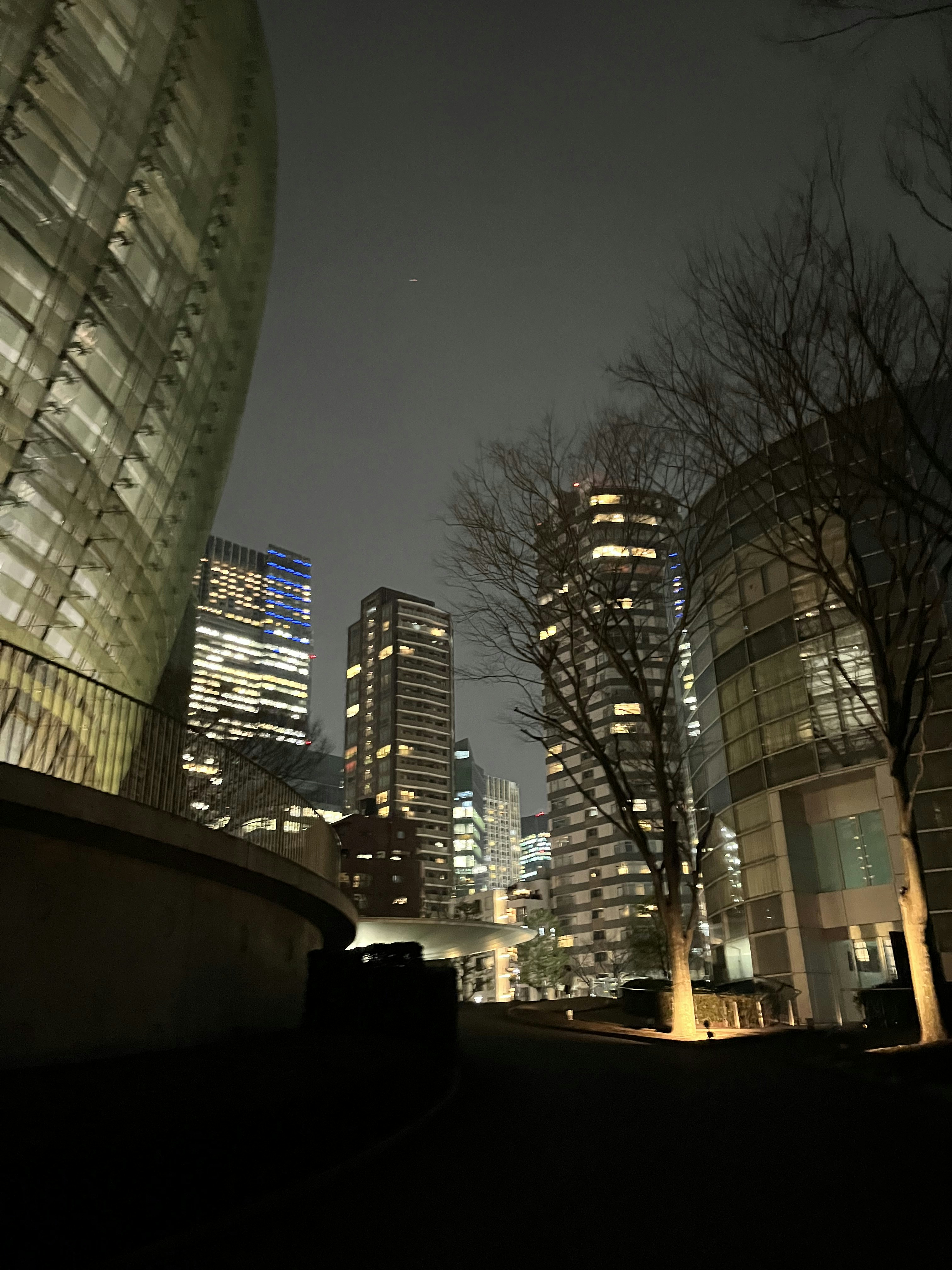 Yukiko Hamabe (@yuky) | Unsplashフォトコミュニティ