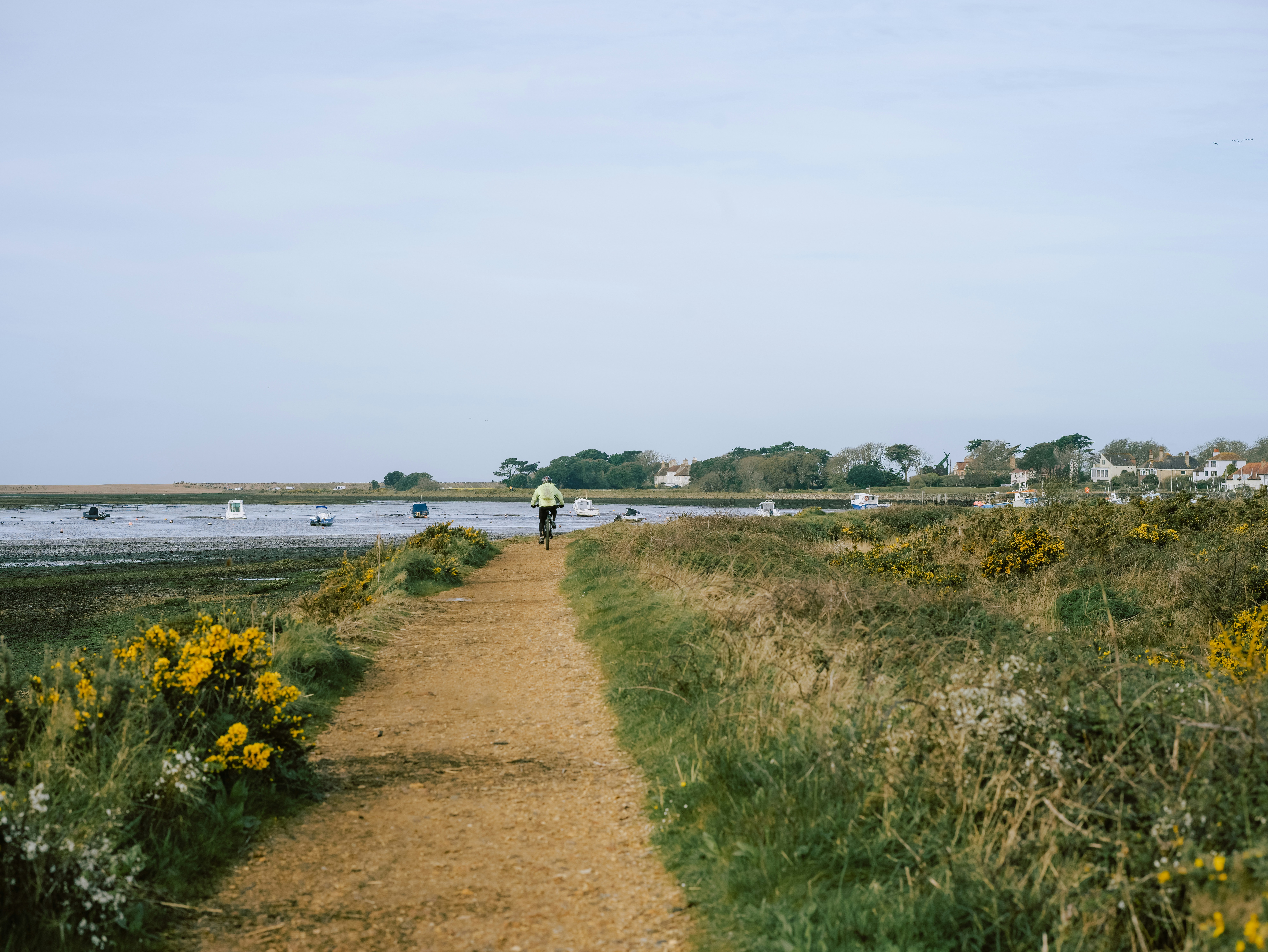 Teign Estuary Walk (2025) – Best of TikTok, Instagram & Reddit Travel Guide