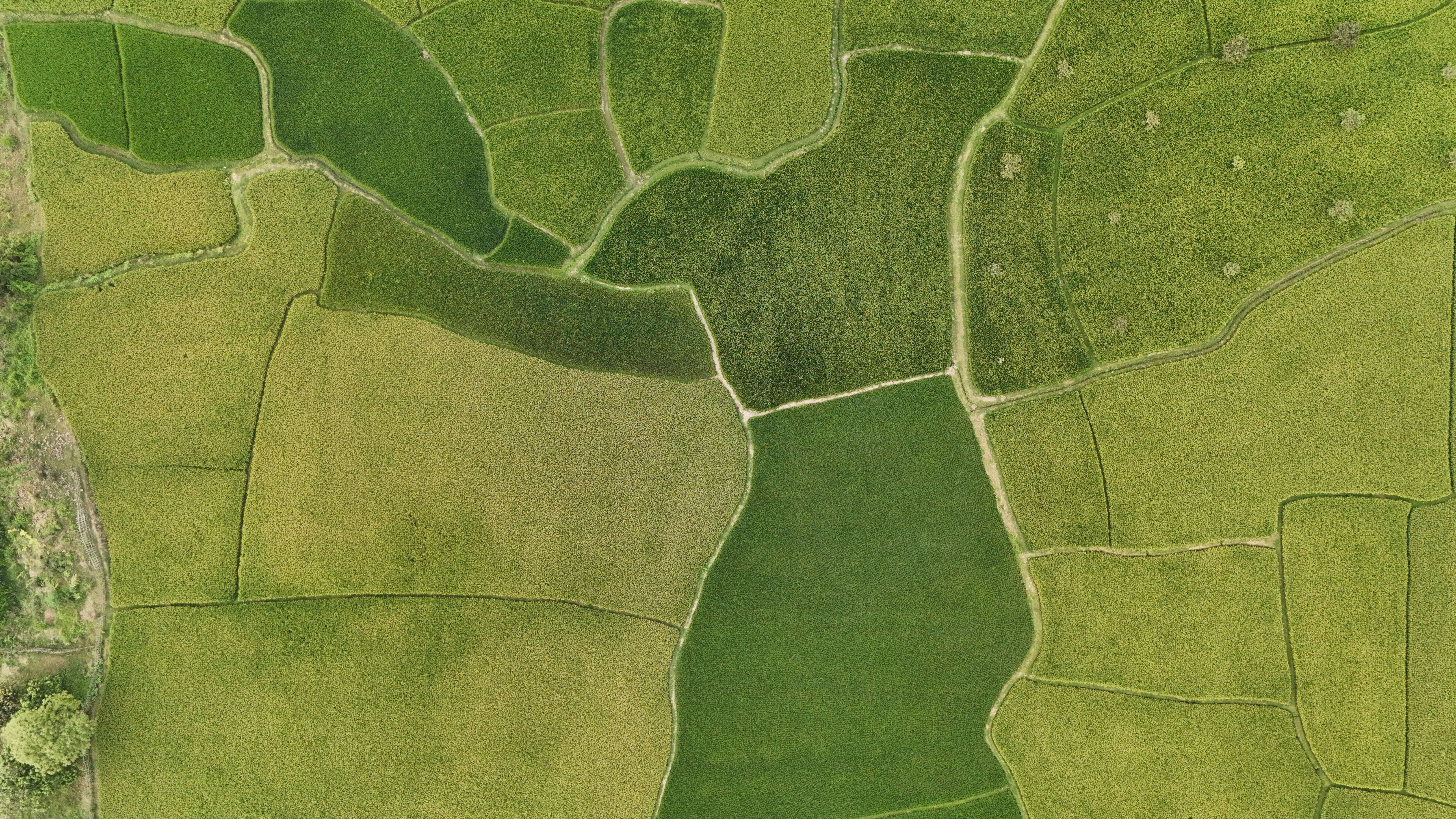 Beautiful day at village l