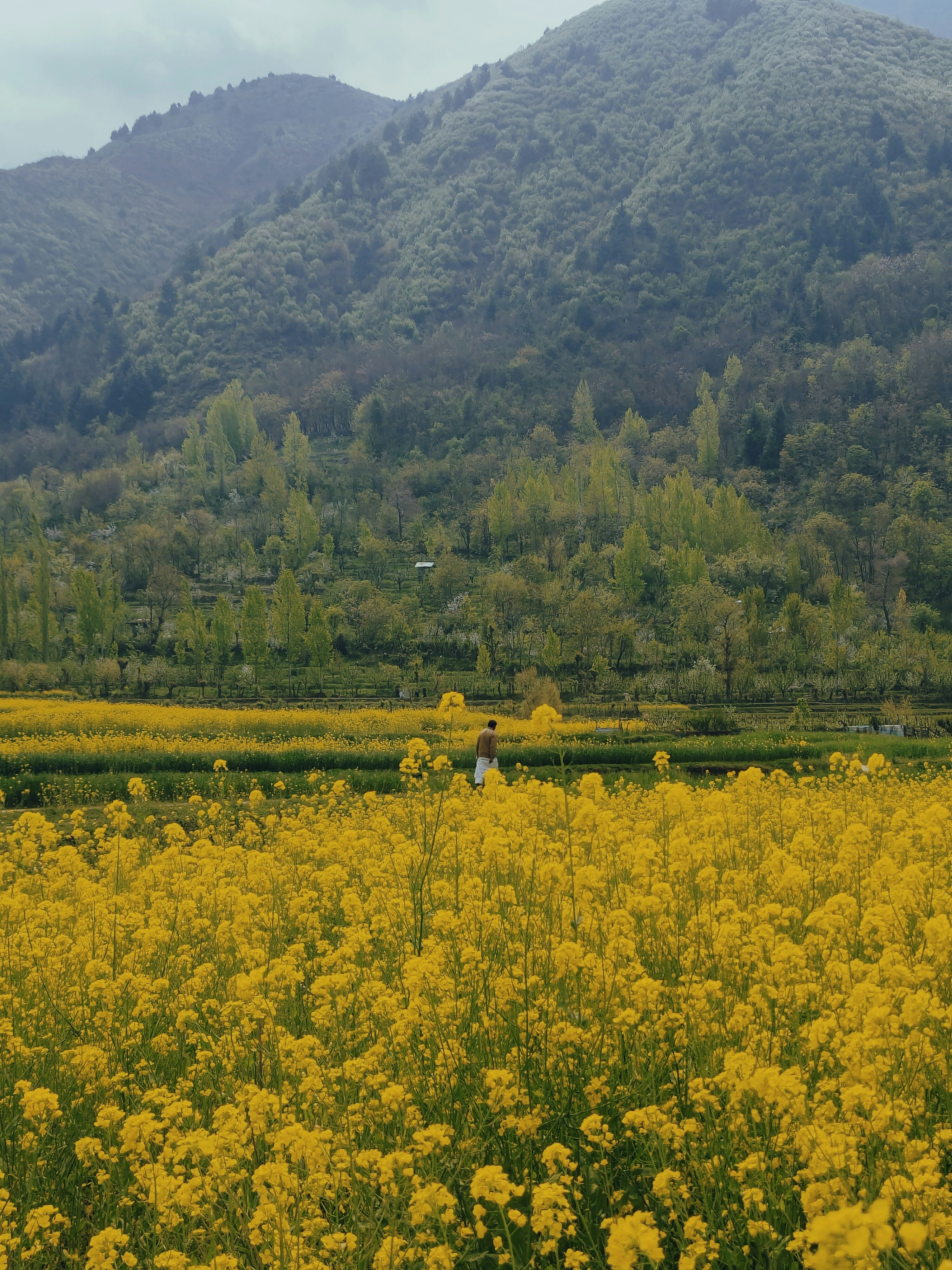 Imagens de Aragam | Baixe imagens gratuitas na Unsplash