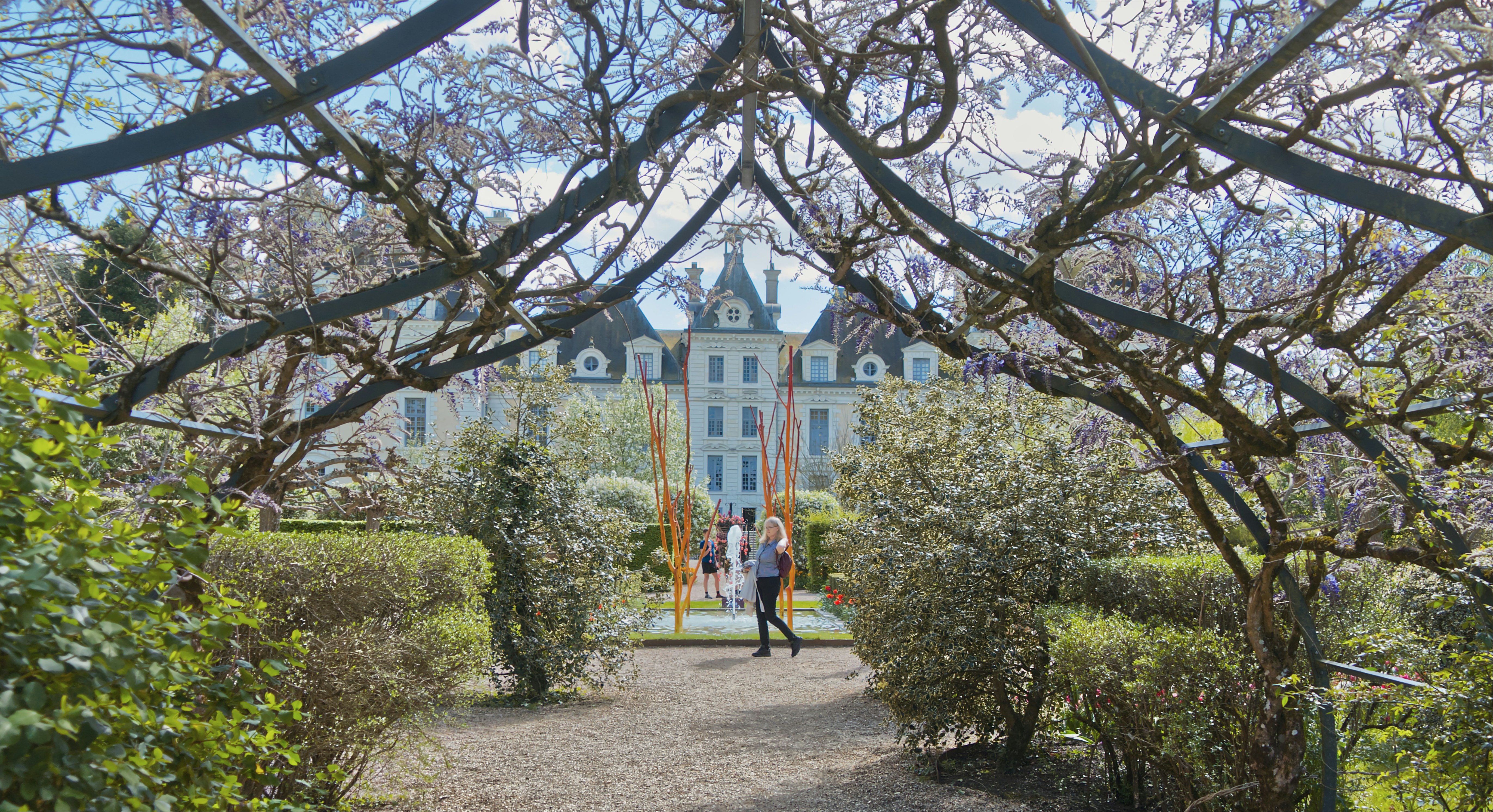 Pathway under wisteria arches leading to the Château de Cheverny under a clear sky.