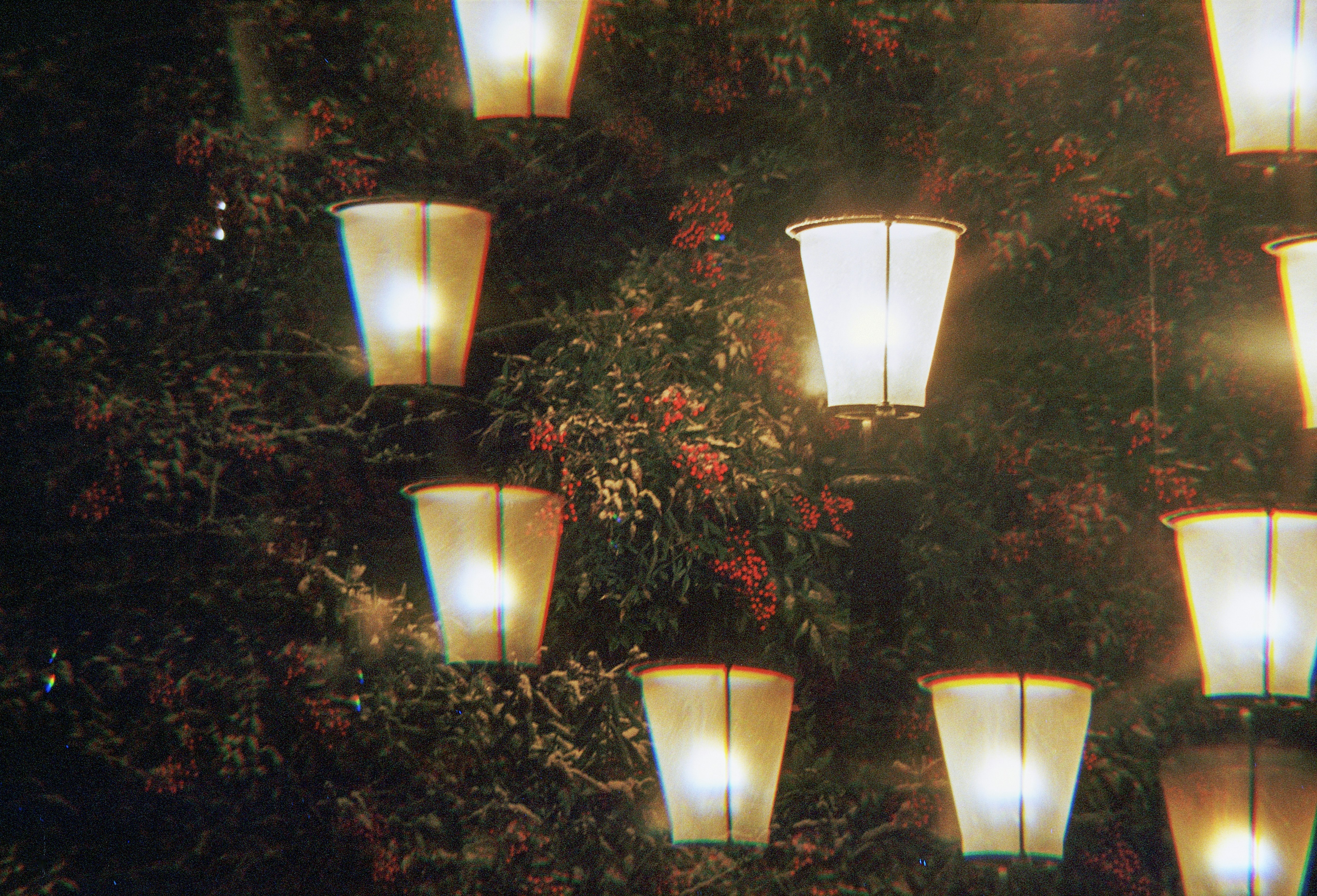 This captivating image showcases a series of warmly lit lanterns casting a soft glow over a lush backdrop of foliage adorned with vibrant red berries. The composition balances the warm, inviting light with the deep greens and reds of the surrounding nature, creating a magical and serene atmosphere. The interplay of light and shadow, enhanced by the lanterns' reflections, adds depth and a dreamlike quality to the scene, making it visually striking and evocative.