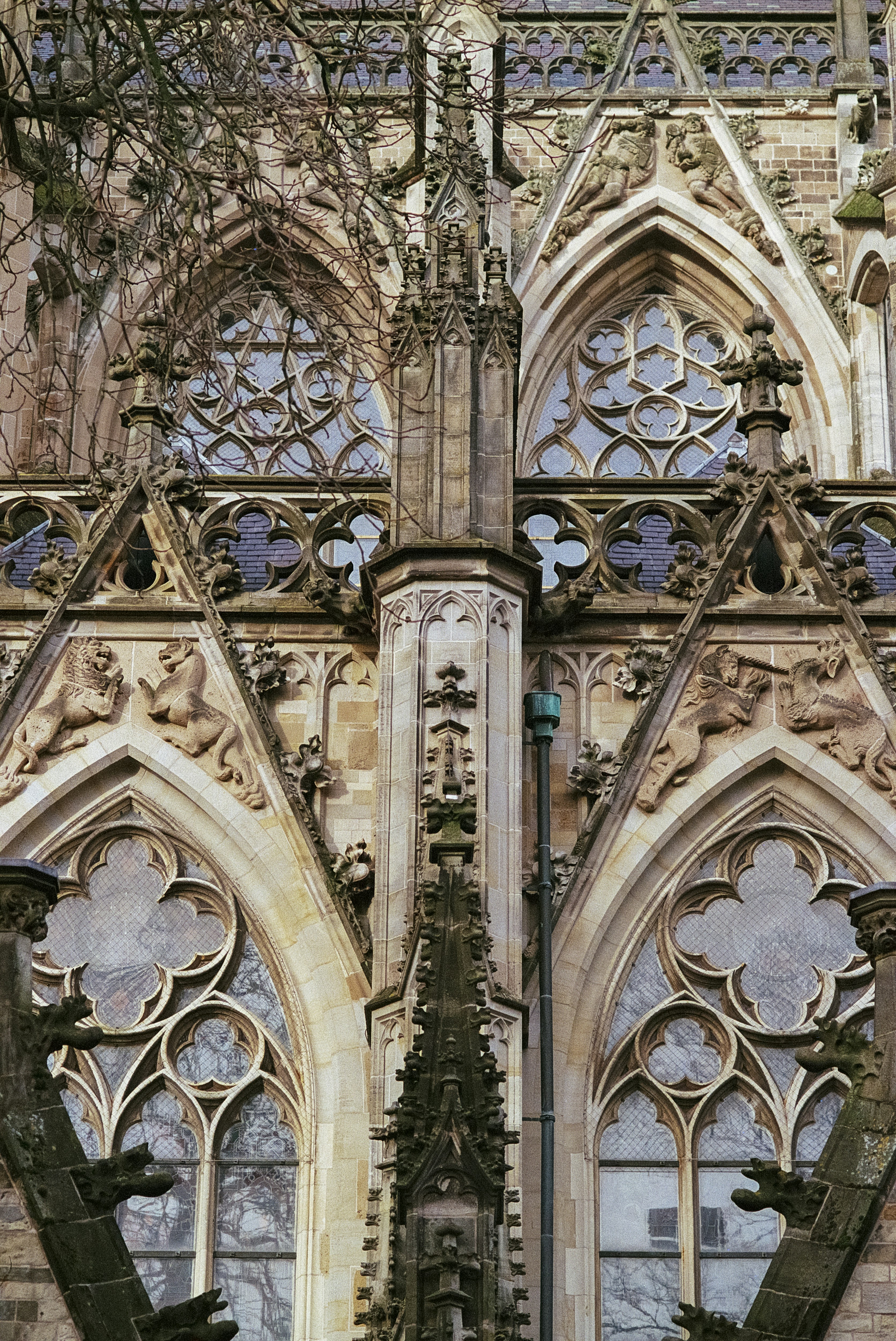 Photo by Artists Eyes with Plustek OpticFilm 8200i